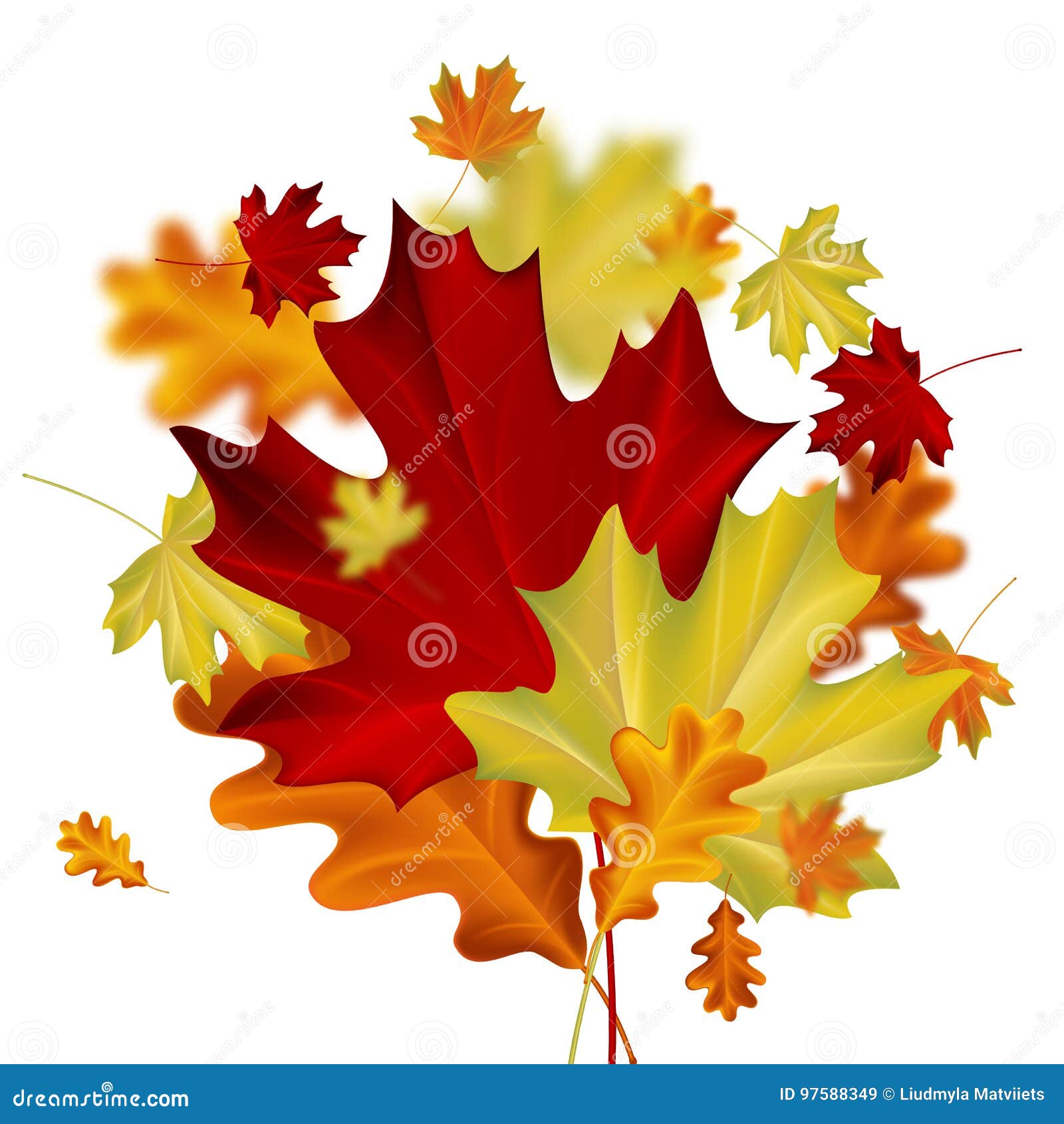 Autumn Leaves on White Background. Stock Vector - Illustration of ...