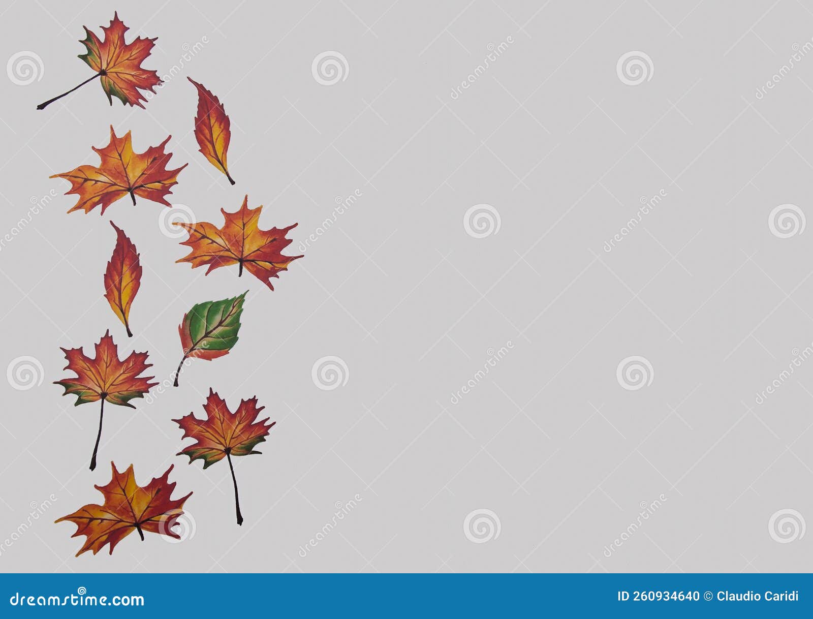 Autumn Leaves on White Background. Space for Text Stock Photo - Image ...