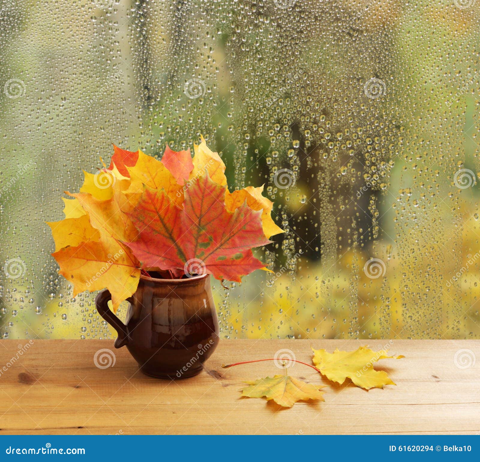 Autumn Leaves on Window Sill Stock Photo - Image of beautiful ...