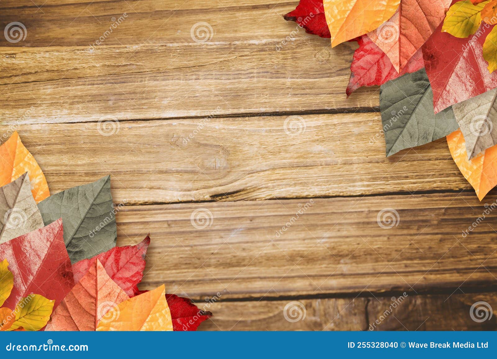 Autumn leaves on wood stock photo. Image of gold, fall - 255328040