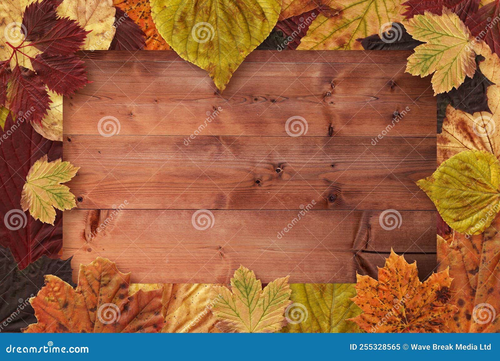 Autumn leaves on wood stock image. Image of leaves, gold - 255328565