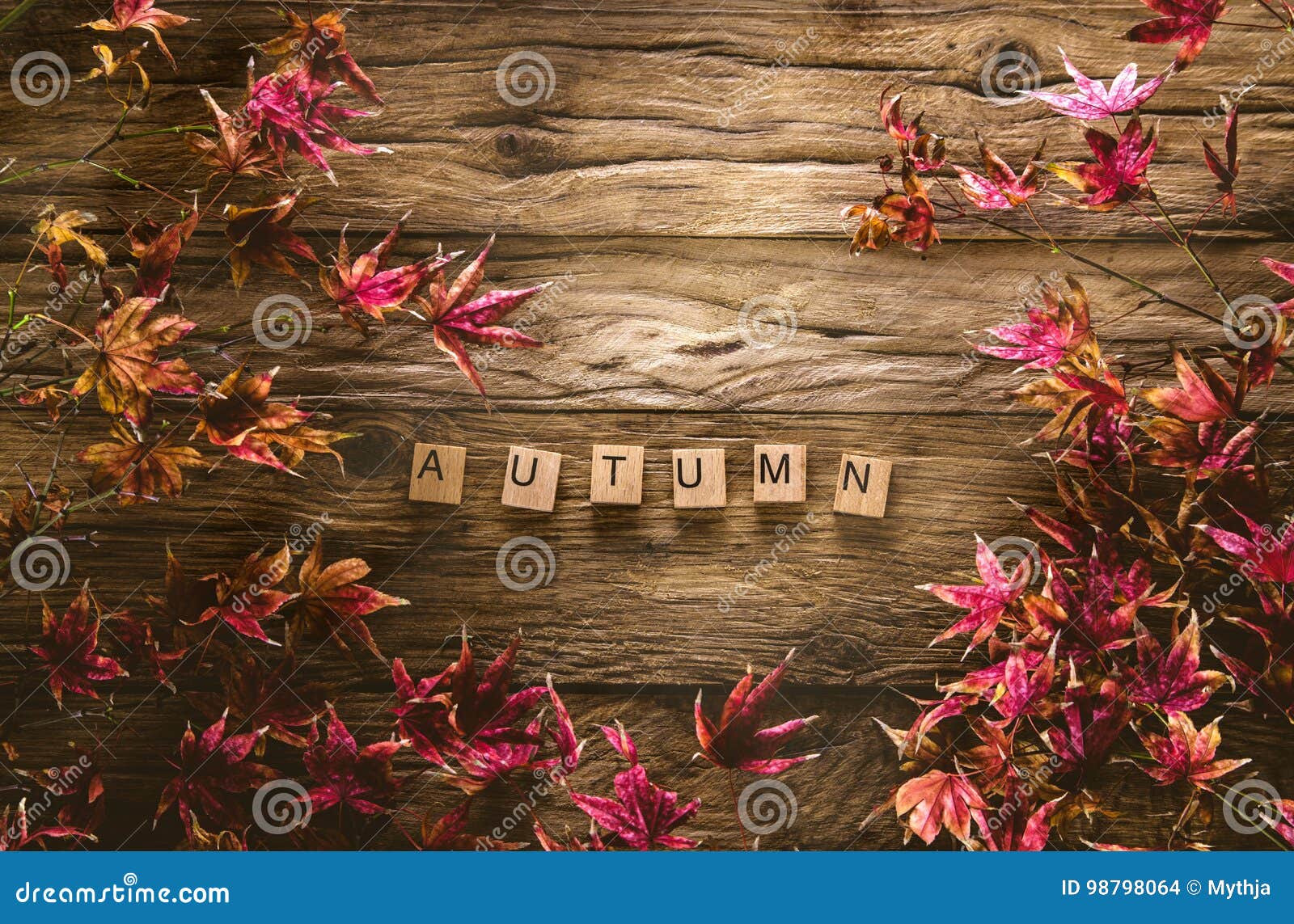 Autumn leaves on wood stock photo. Image of closeup, material - 98798064