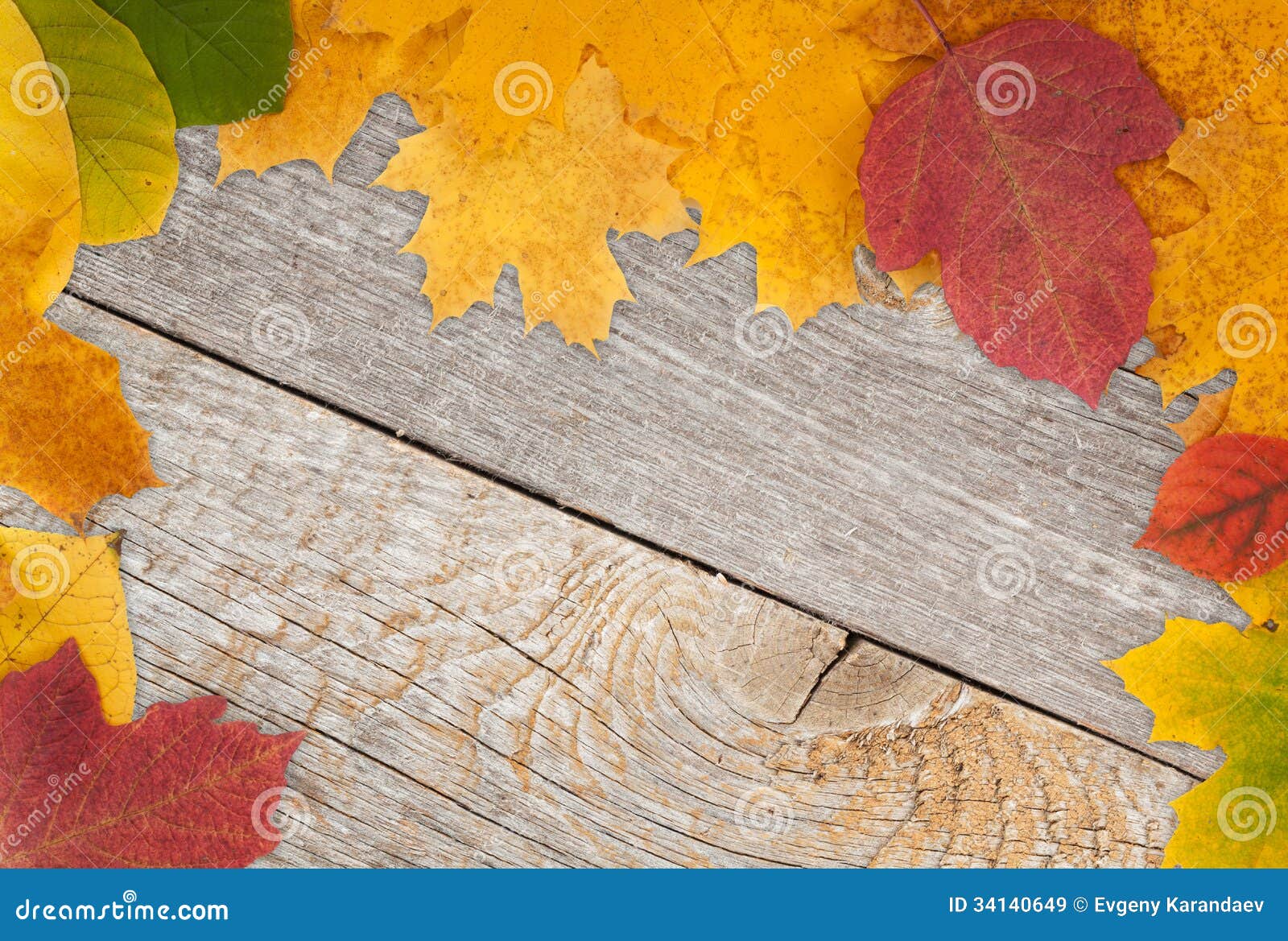 Autumn leaves on wood stock image. Image of nature, board - 34140649