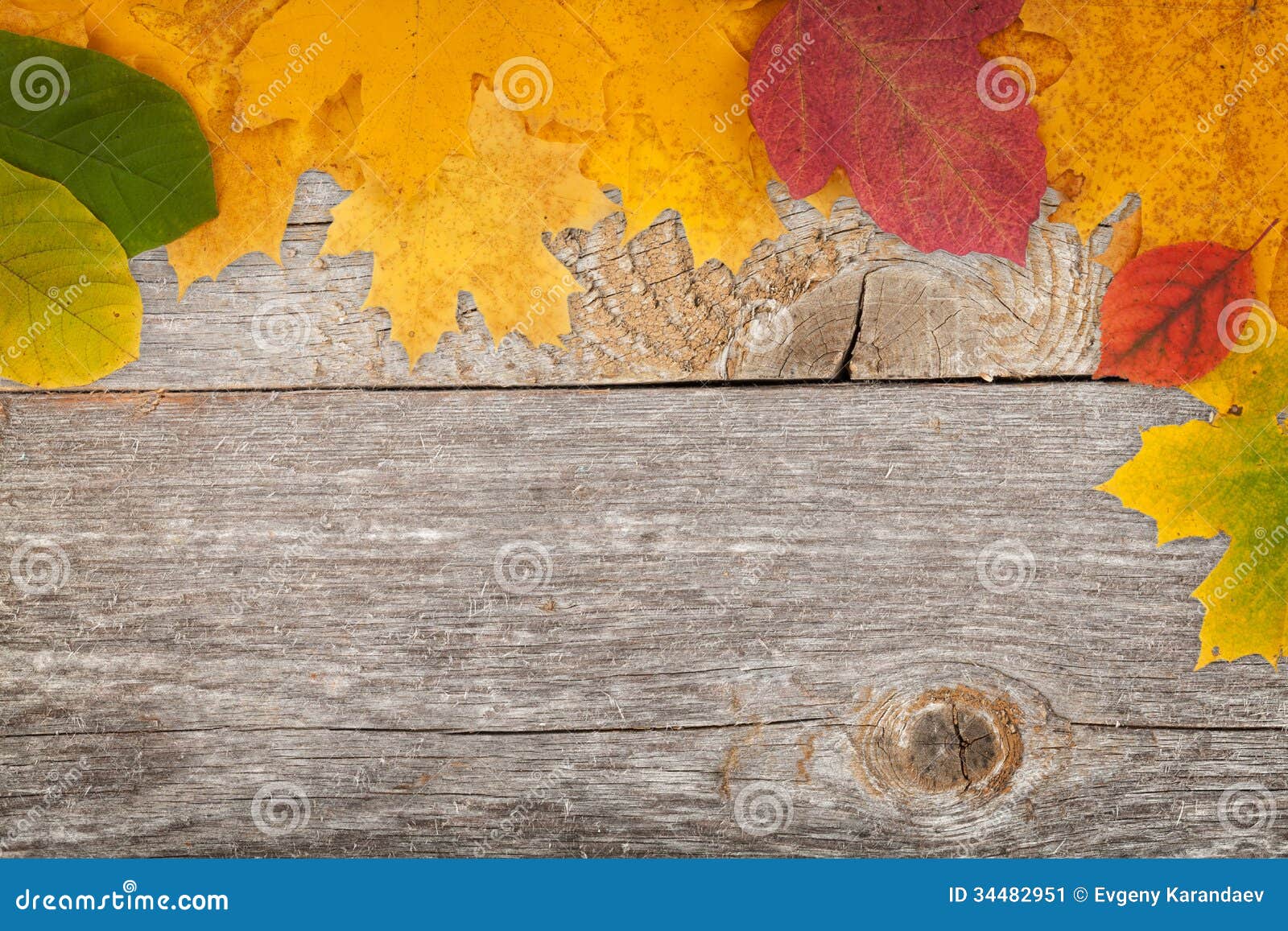 Autumn leaves on wood stock image. Image of rusty, abstract - 34482951