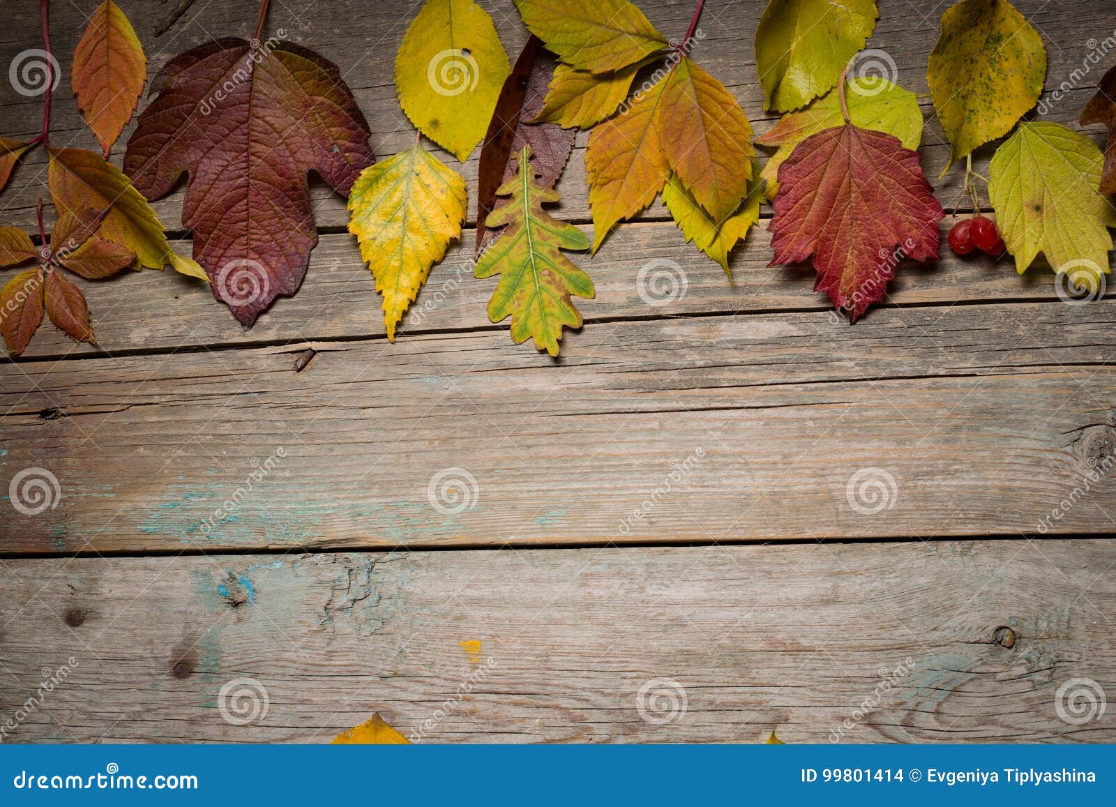 Autumn Leaves on Wooden Boards Stock Photo - Image of background ...