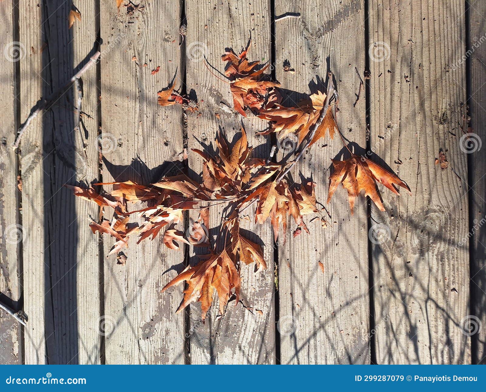 Autumn Leaves on Wooden Deck Stock Image - Image of autumn, winter: 299287079