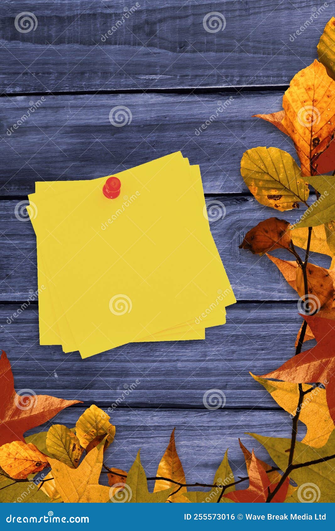 Autumn Leaves with Yellow Note Stock Photo - Image of desk, fall: 255573016