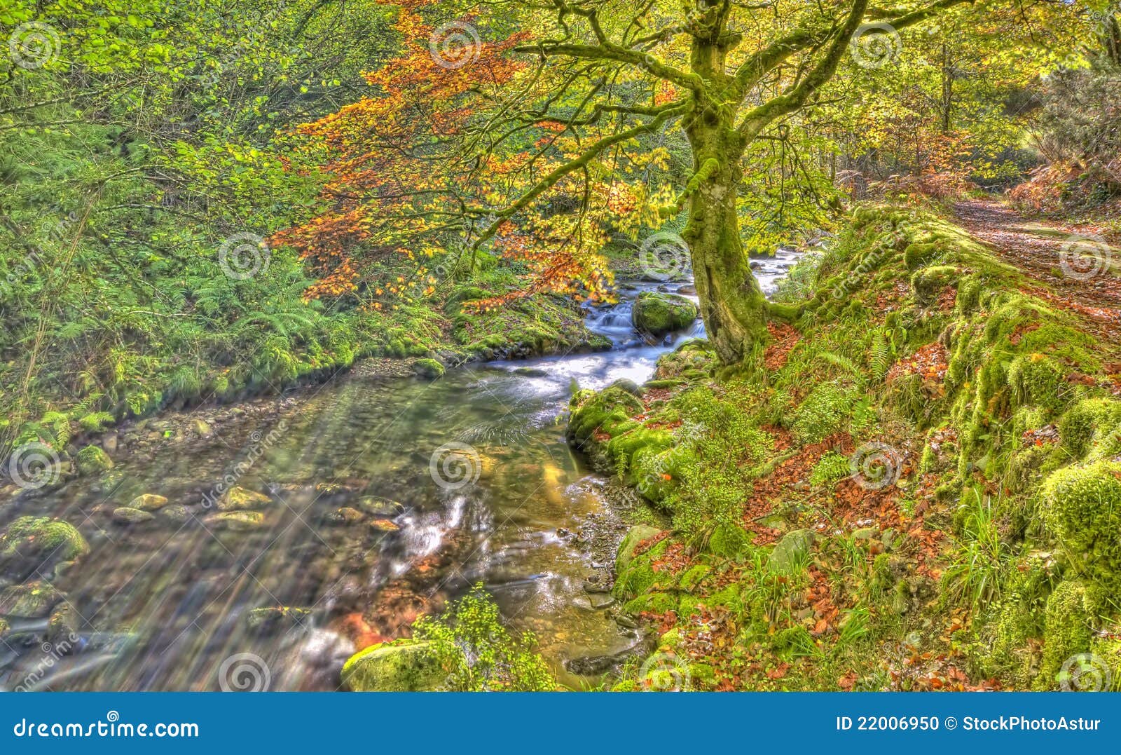 Autumn light. stock photo. Image of beautiful, city, biodiversity ...
