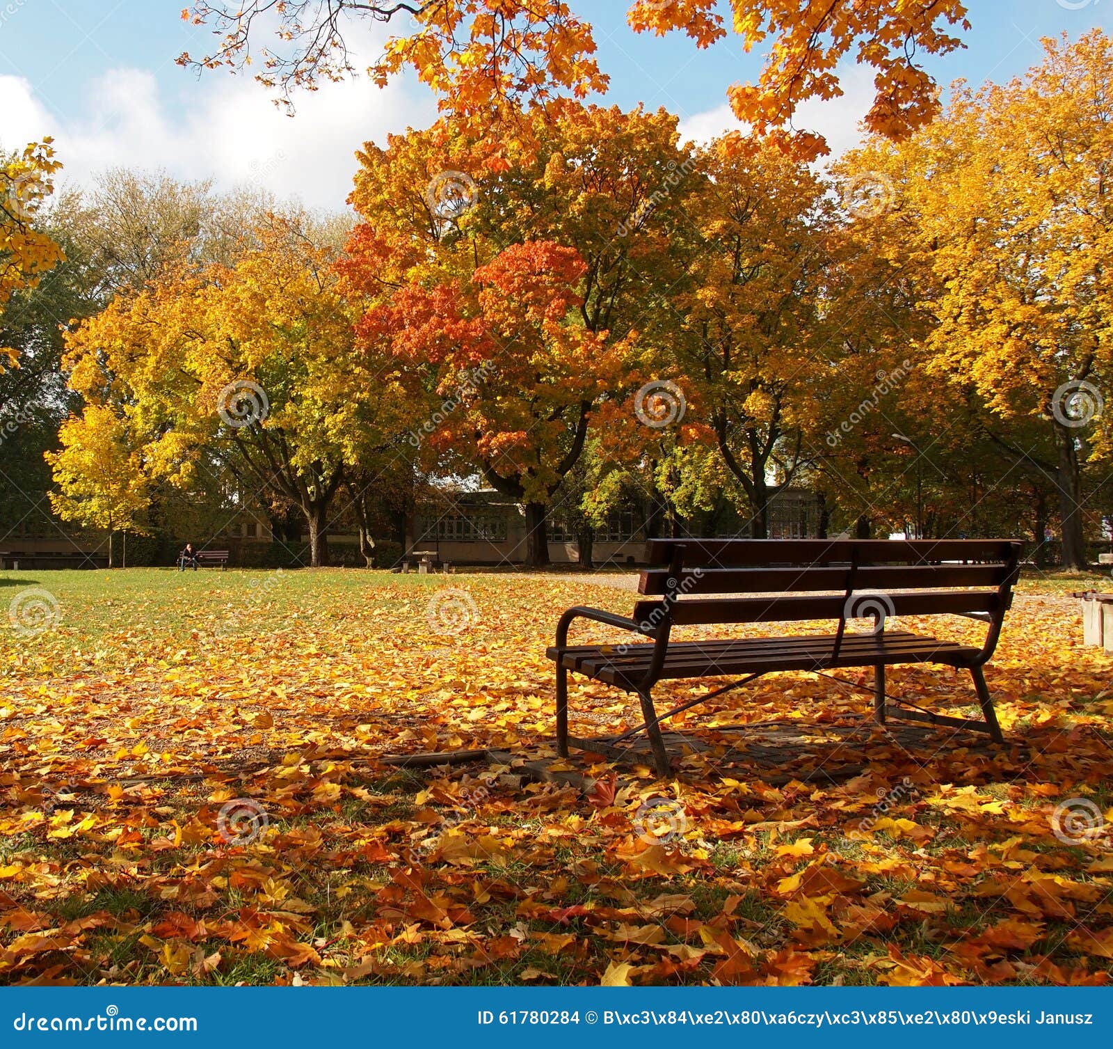 Autumn light and shadows. stock photo. Image of season - 61780284
