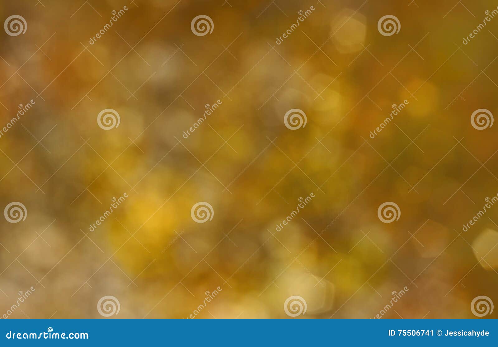 Autumn light stock image. Image of colorful, ecology - 75506741
