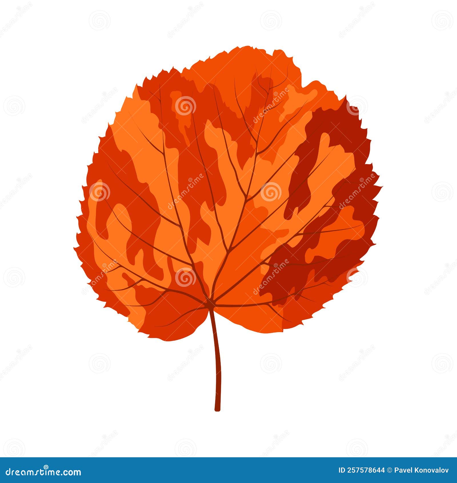 Autumn Linden Leaf stock vector. Illustration of garden - 257578644