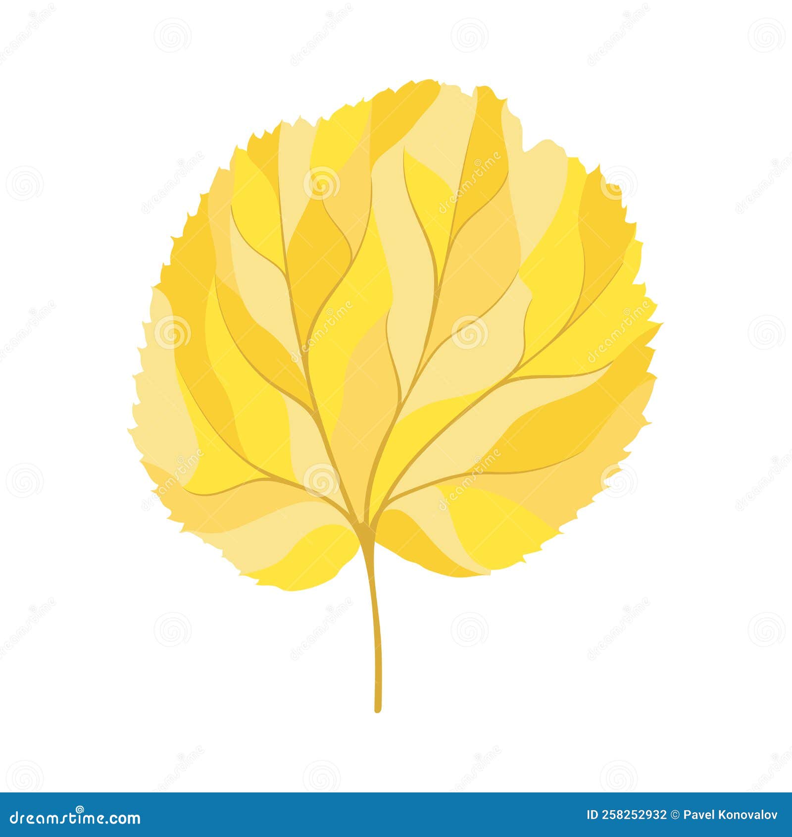 Autumn Linden Leaf stock vector. Illustration of fragility - 258252932