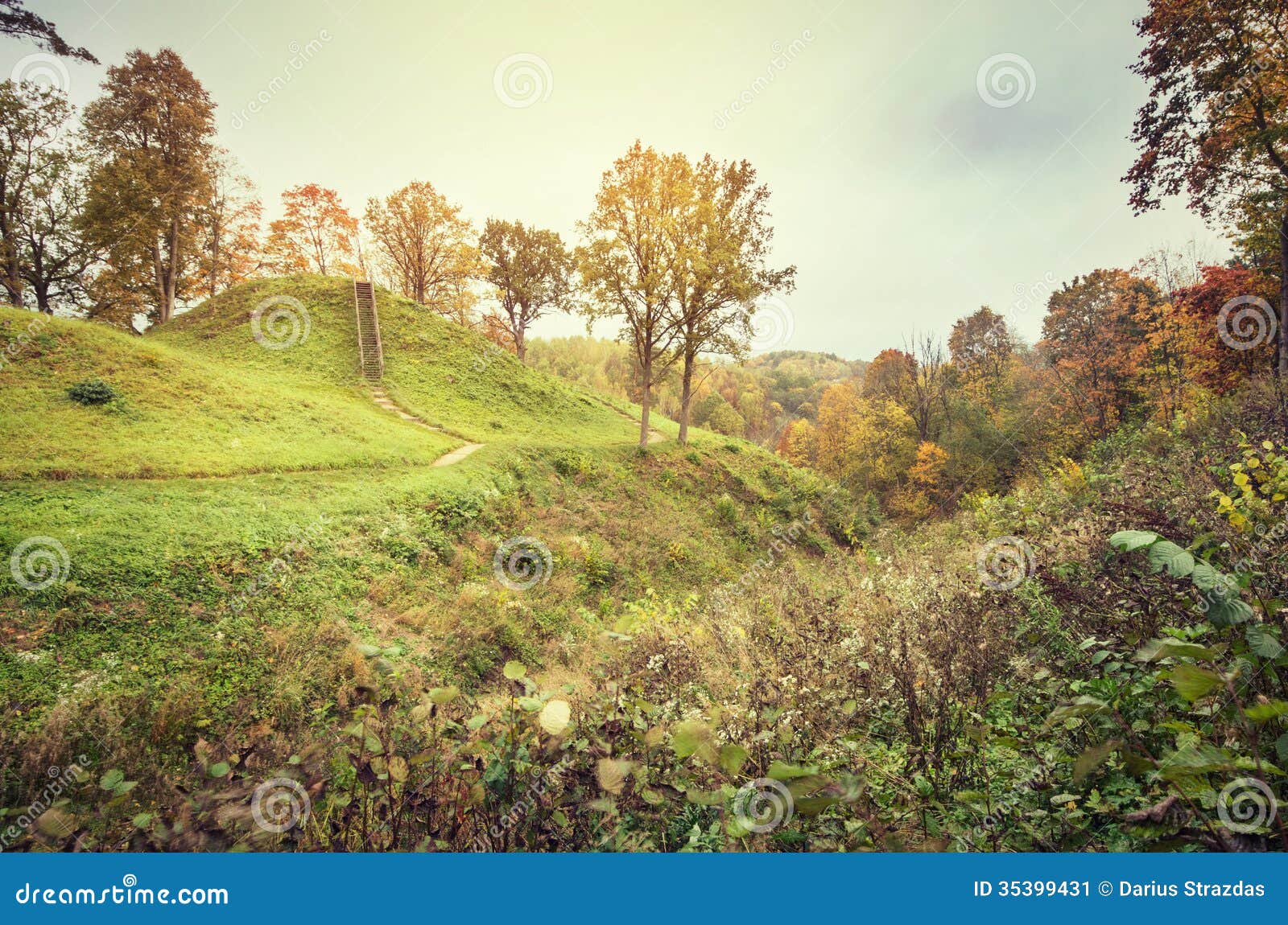 Autumn in Lithuania stock image. Image of plant, vilnius - 35399431