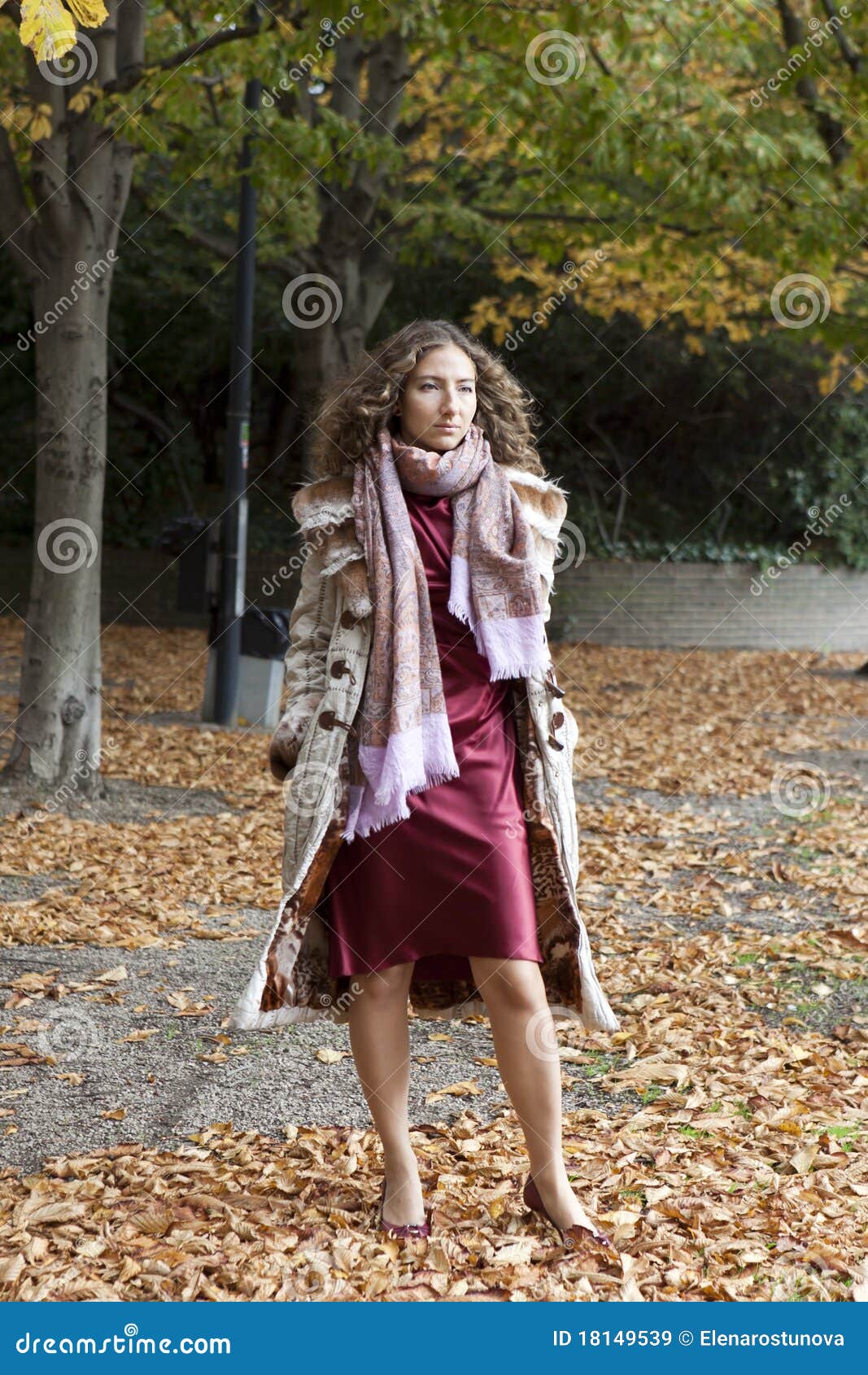 Autumn, loneliness stock image. Image of miserable, female - 18149539