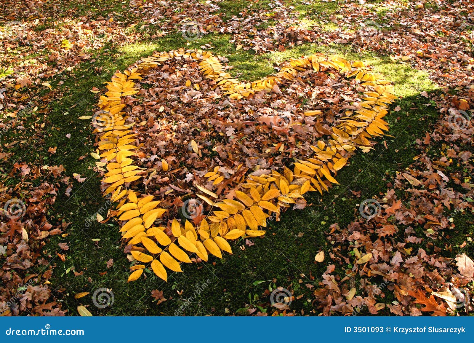 Autumn love stock image. Image of natural, woodland, leaf - 3501093