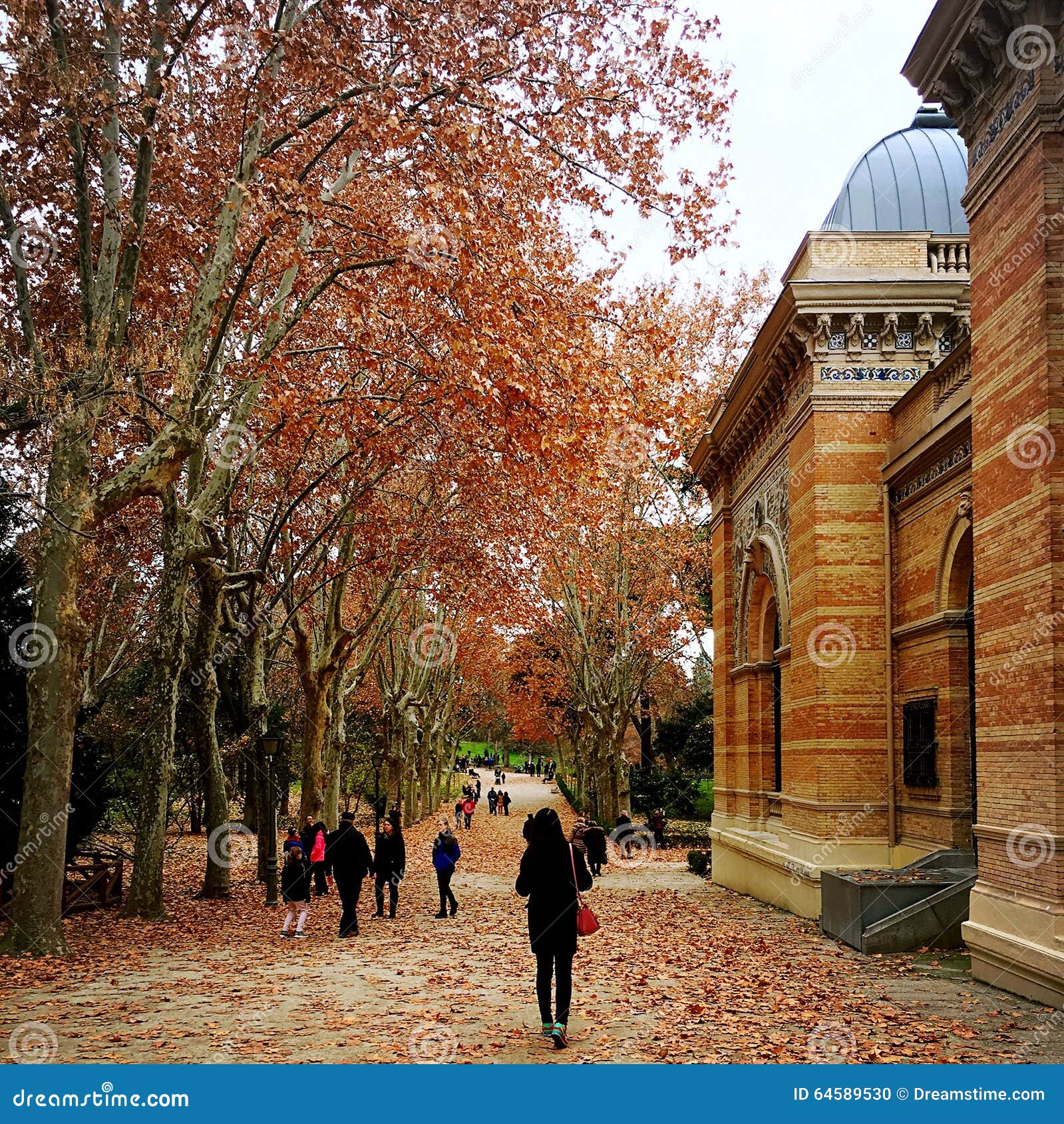 Autumn in Madrid stock photo. Image of park, autumn, spain - 64589530