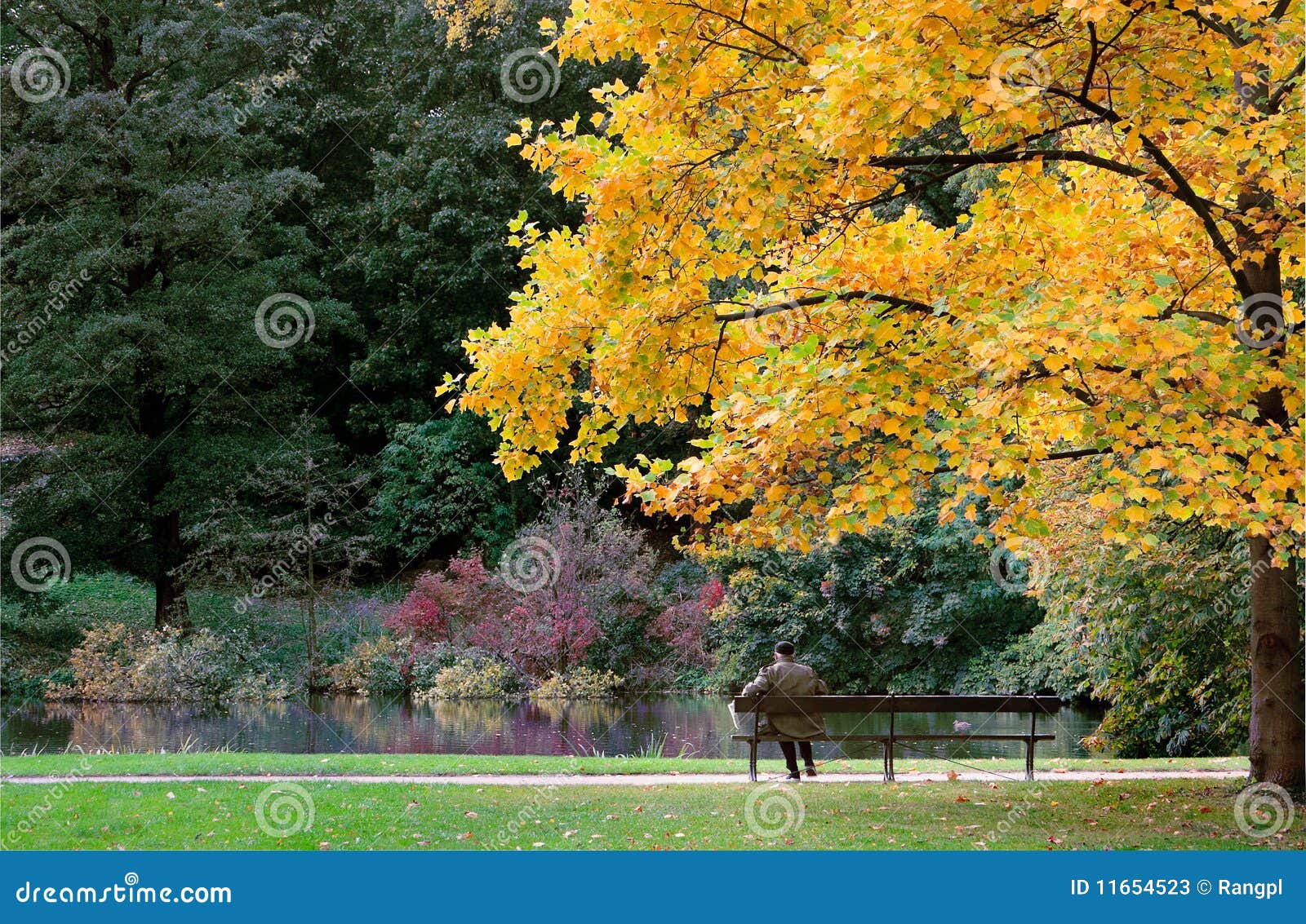 Autumn man on bench stock image. Image of lonely, scenery - 11654523