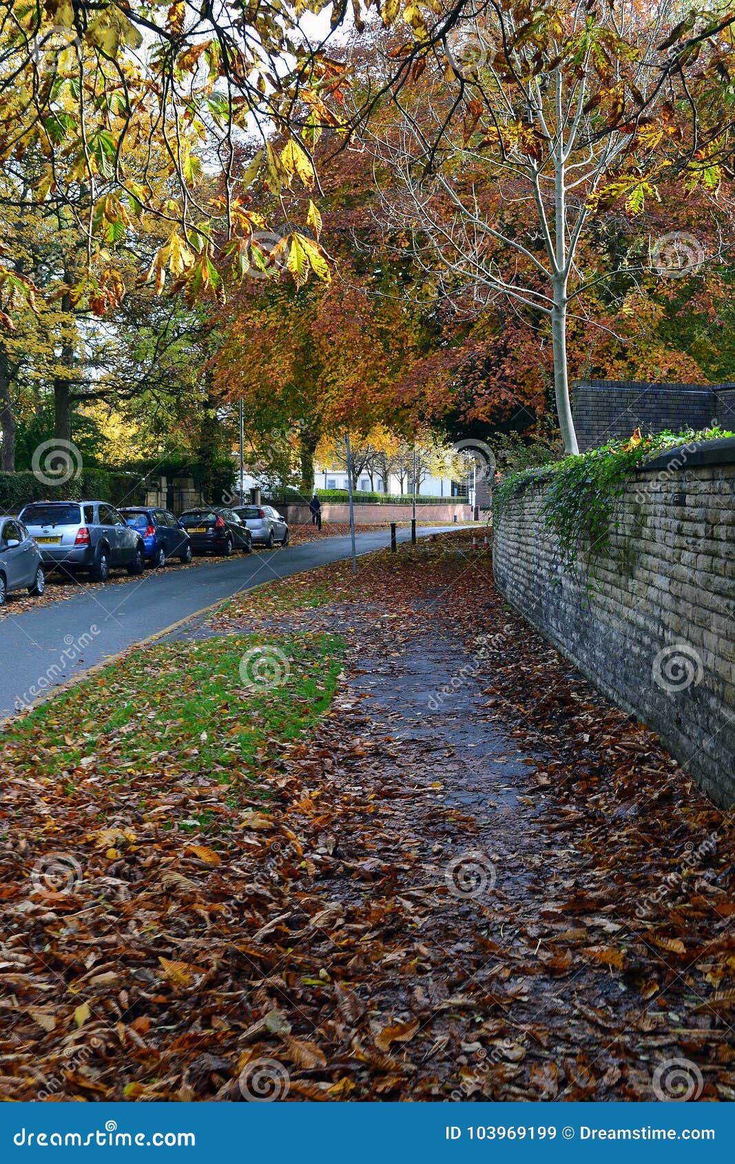 Autumn in Manchester. editorial stock image. Image of view - 103969199