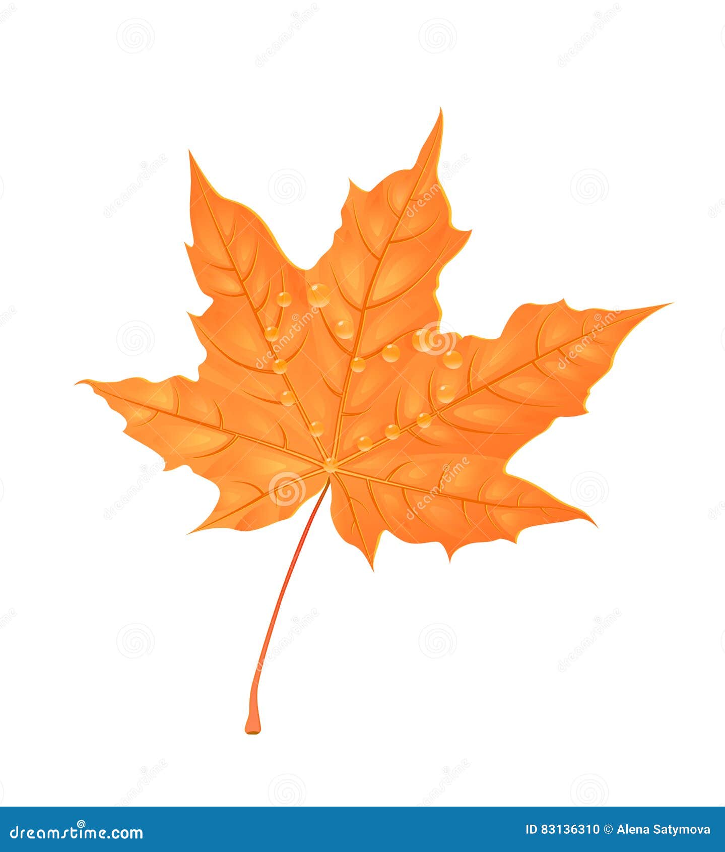 Autumn Maple Foliage. Creative Vector Illustration. Orange Leaf with ...