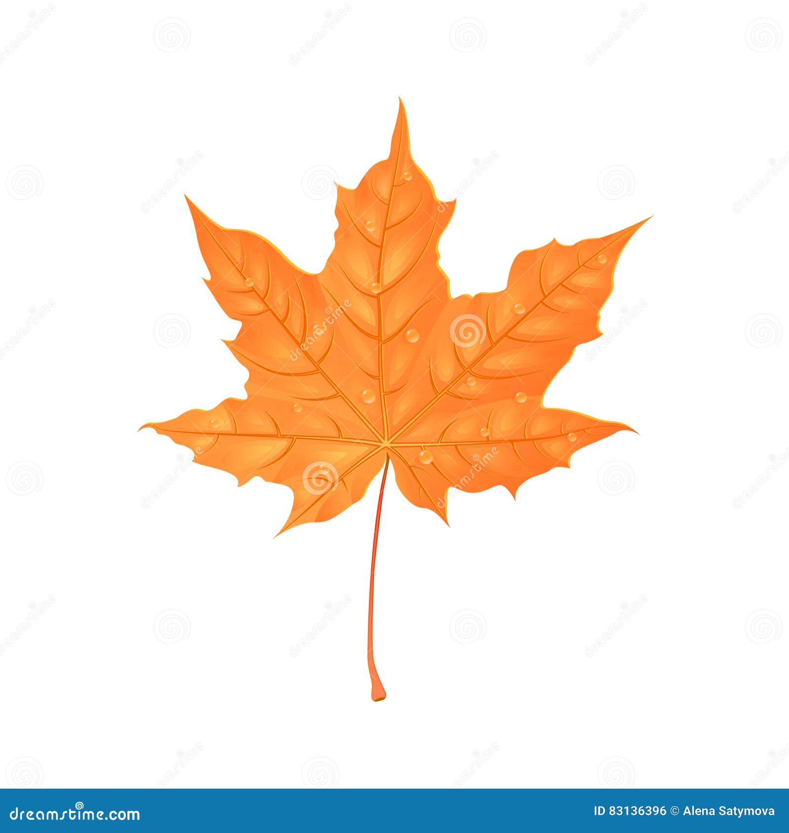 Autumn Maple Foliage. Creative Vector Illustration. Orange Leaf with ...