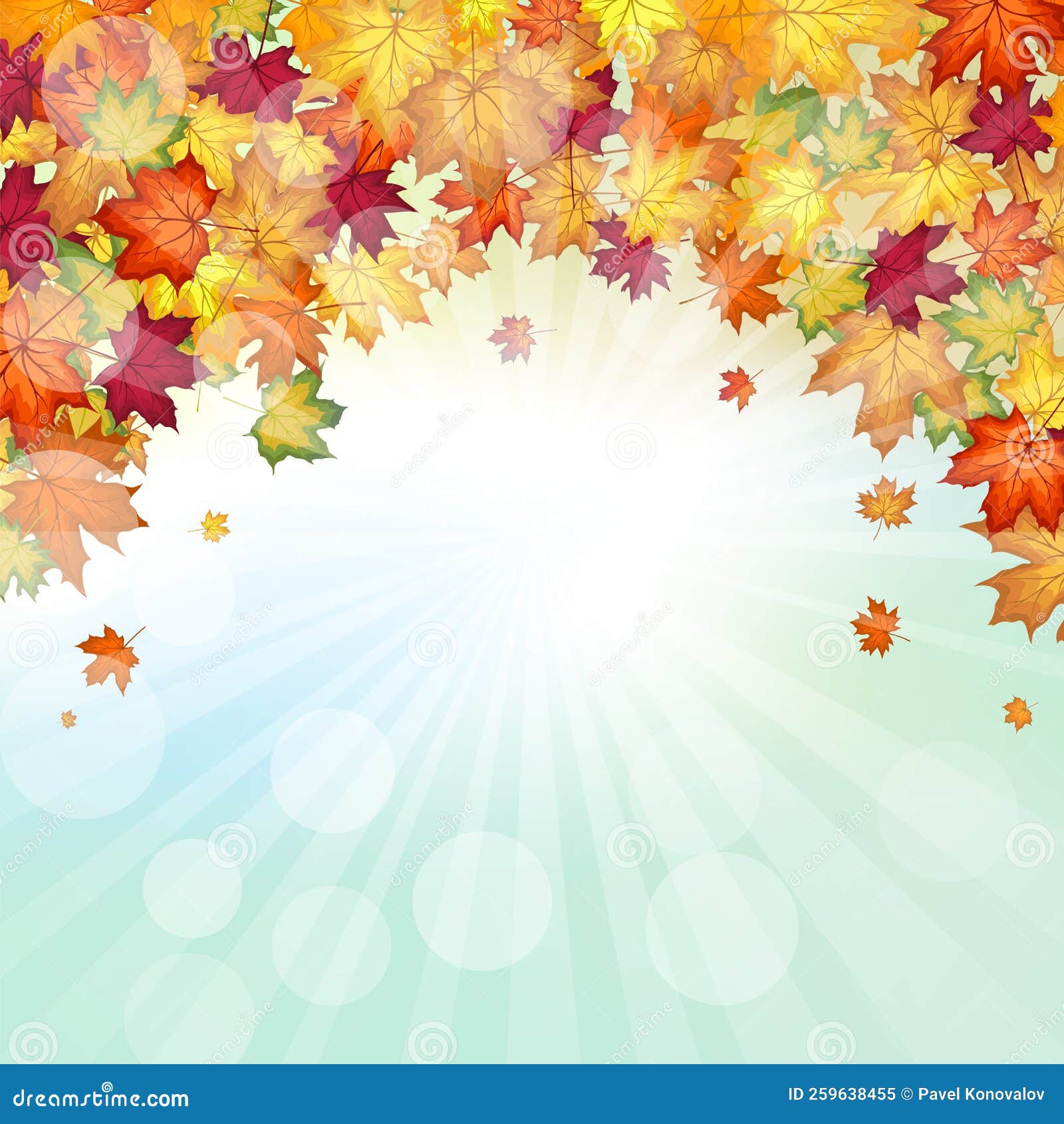 Autumn Maple Frame stock vector. Illustration of element - 259638455