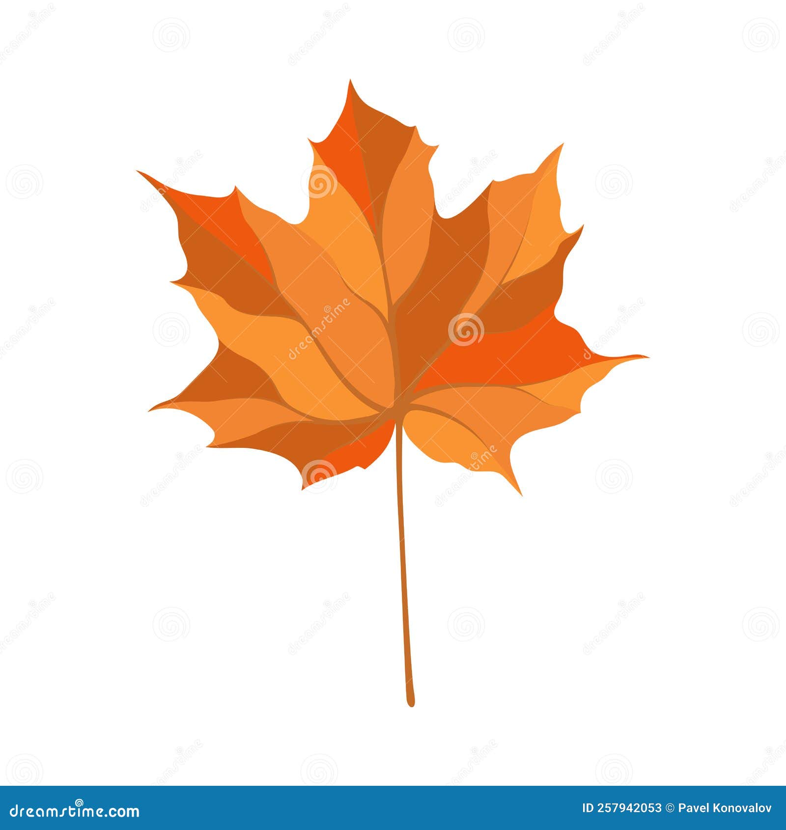 Autumn Maple Leaf stock vector. Illustration of design - 257942053