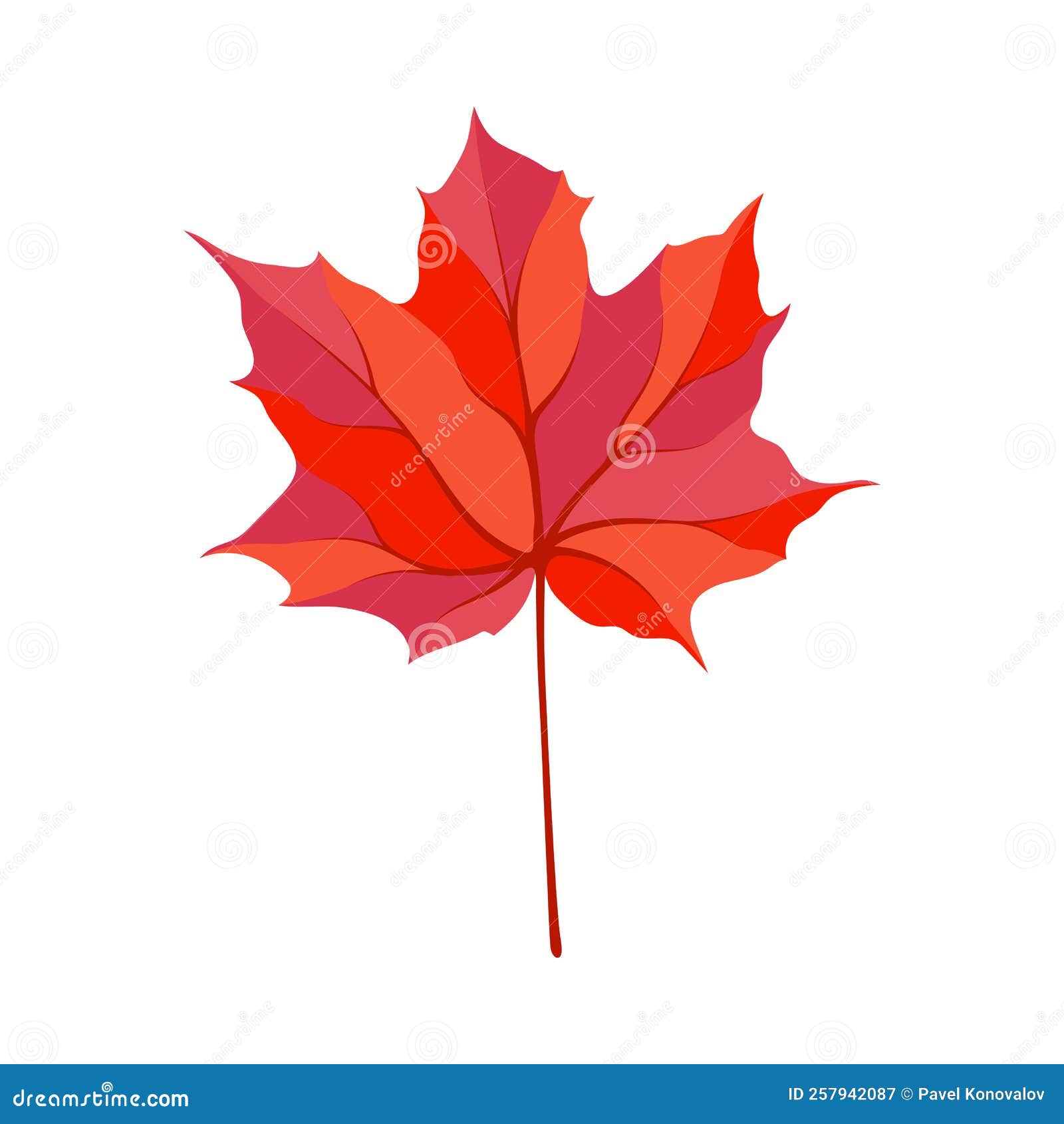 Autumn Maple Leaf stock vector. Illustration of bright - 257942087