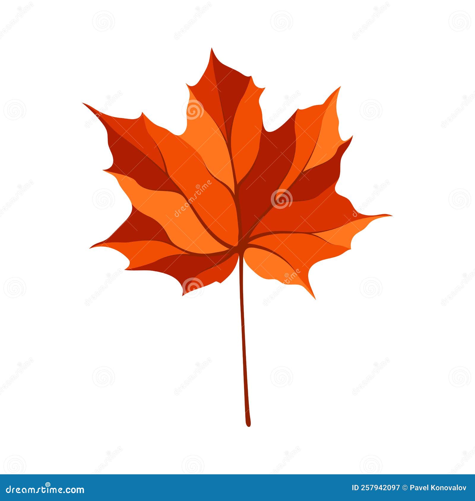 Autumn Maple Leaf stock vector. Illustration of element - 257942097
