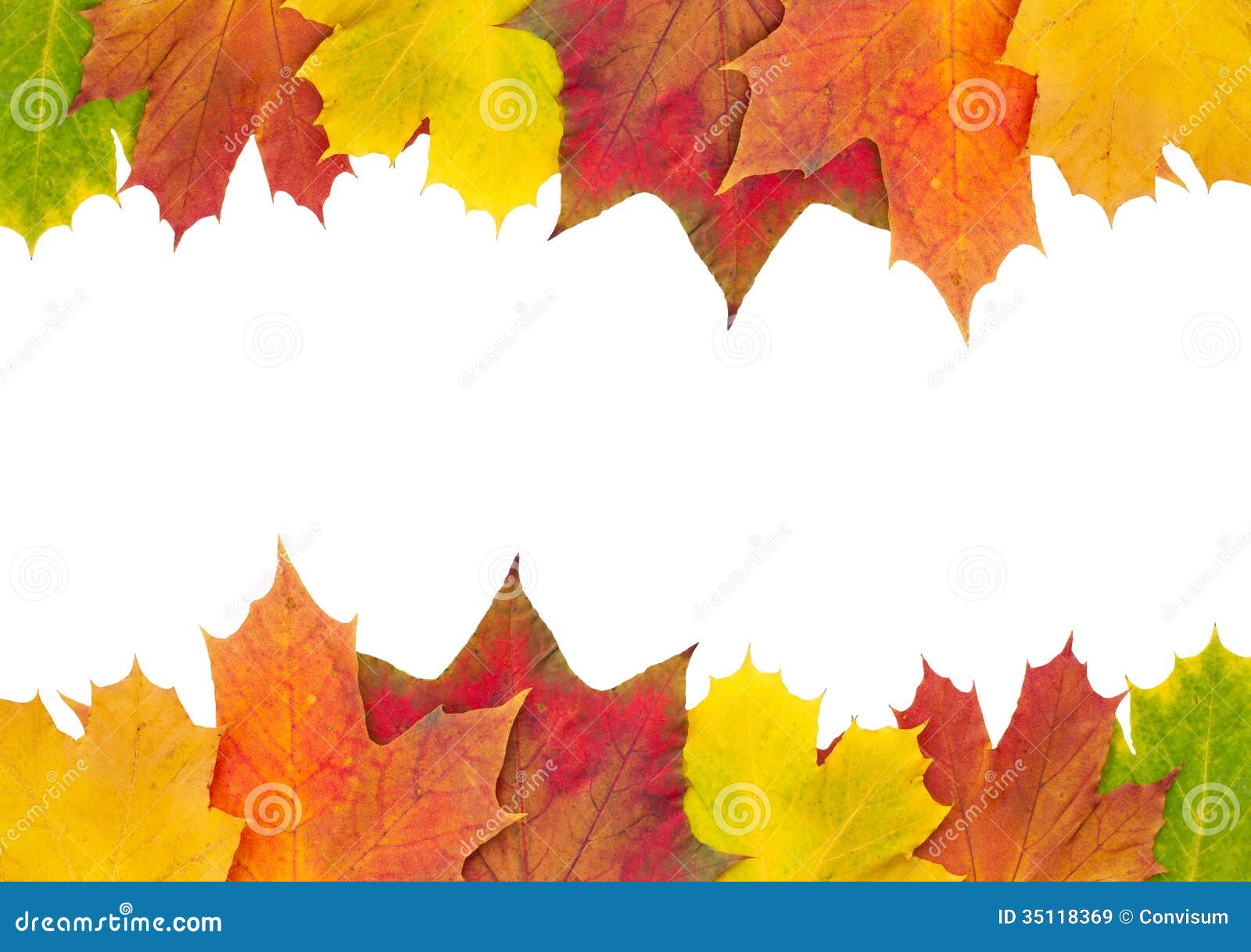 Autumn Maple Leaf Border Royalty Free Stock Images - Image: 35118369