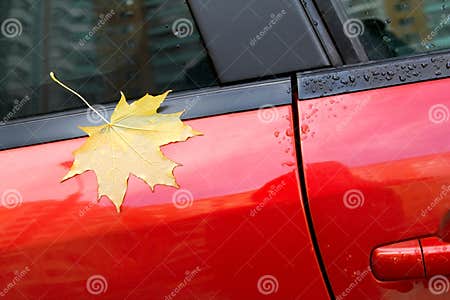Autumn Maple Leaf on the Car Stock Photo - Image of detail, leaf: 27107932