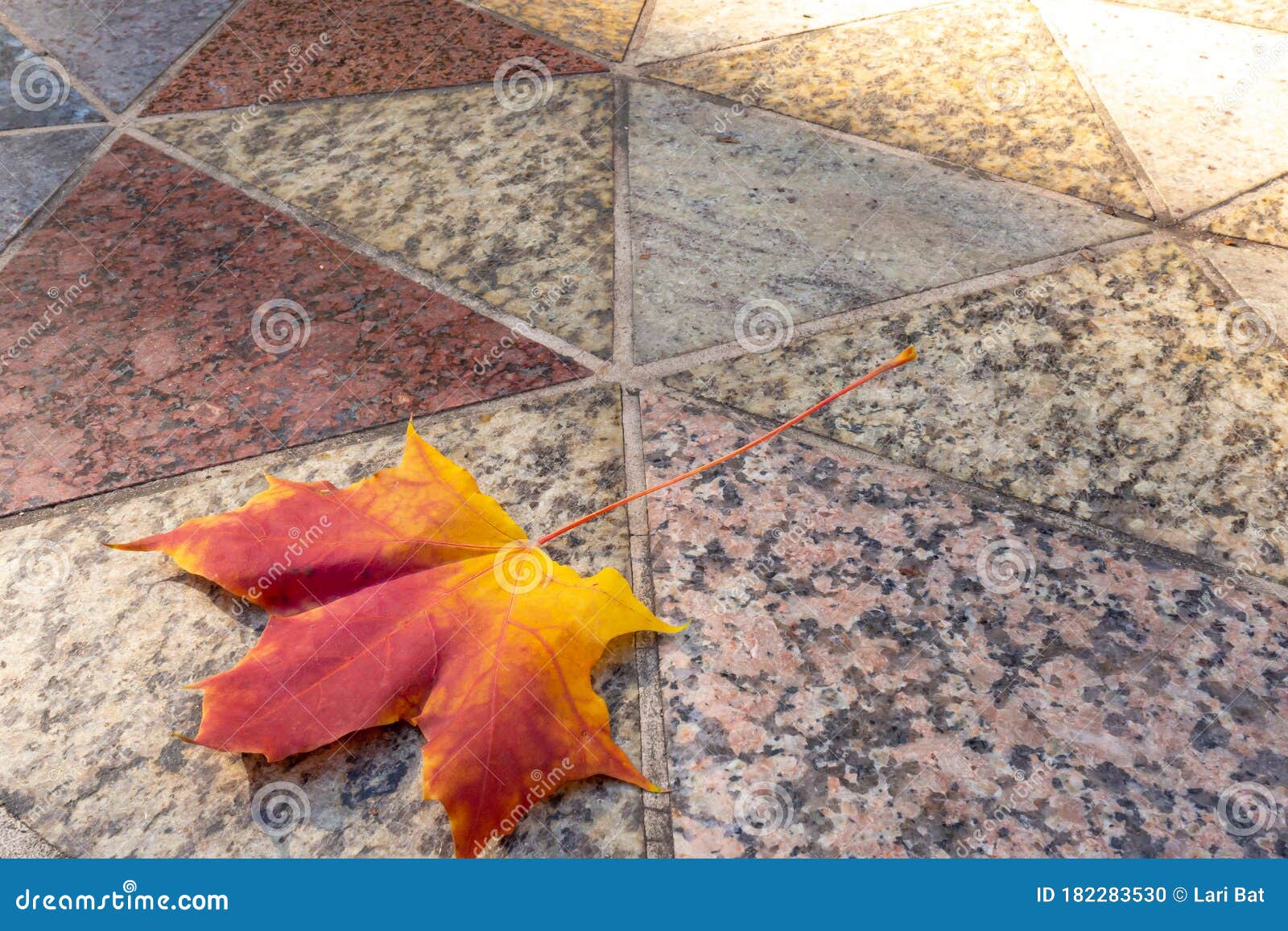 Autumn Maple Leaf on the Colorful Stone Paving of a Beautiful Square ...