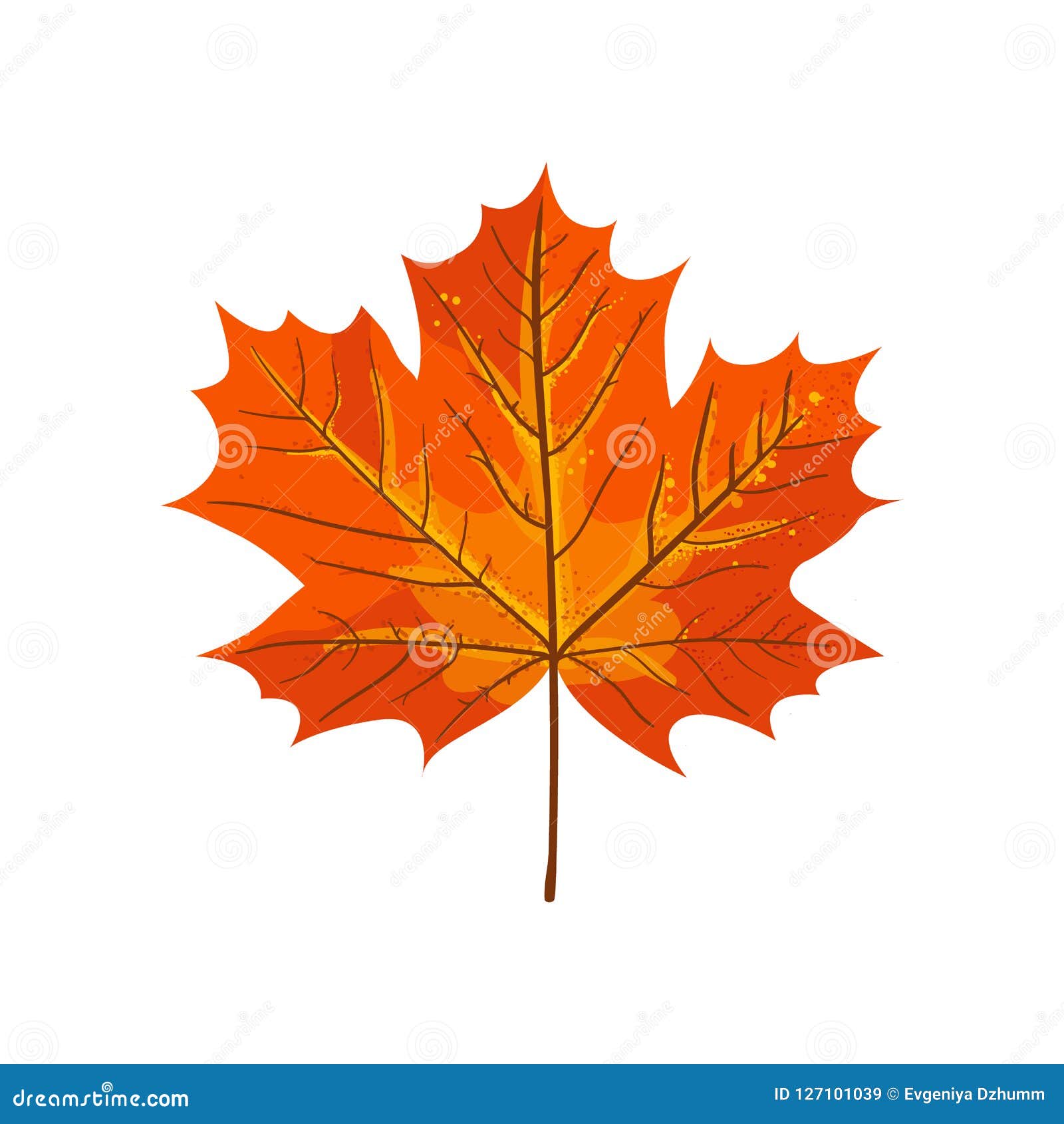Autumn maple leaf. stock vector. Illustration of november - 127101039
