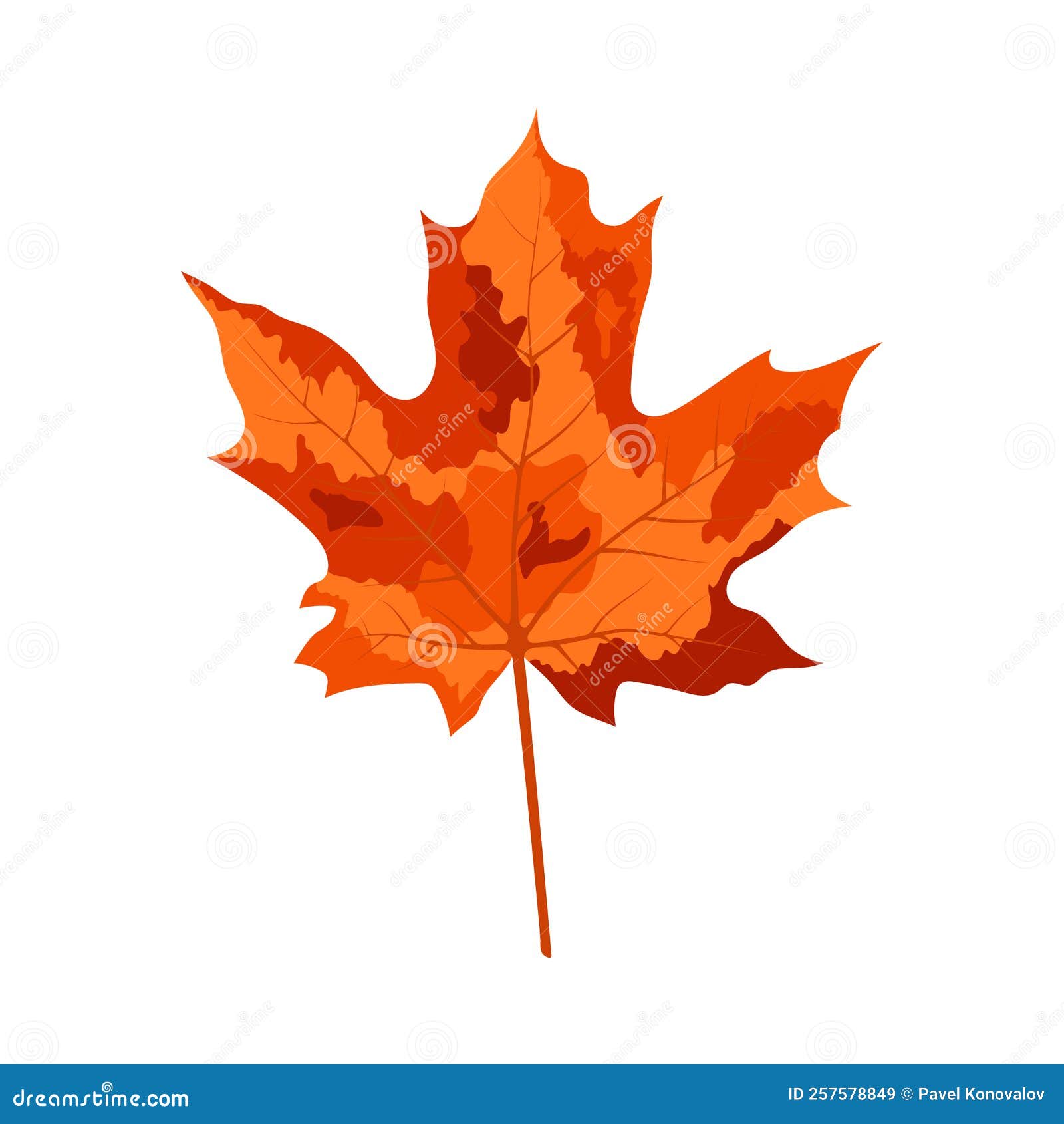 Autumn Maple Leaf stock vector. Illustration of abstract - 257578849