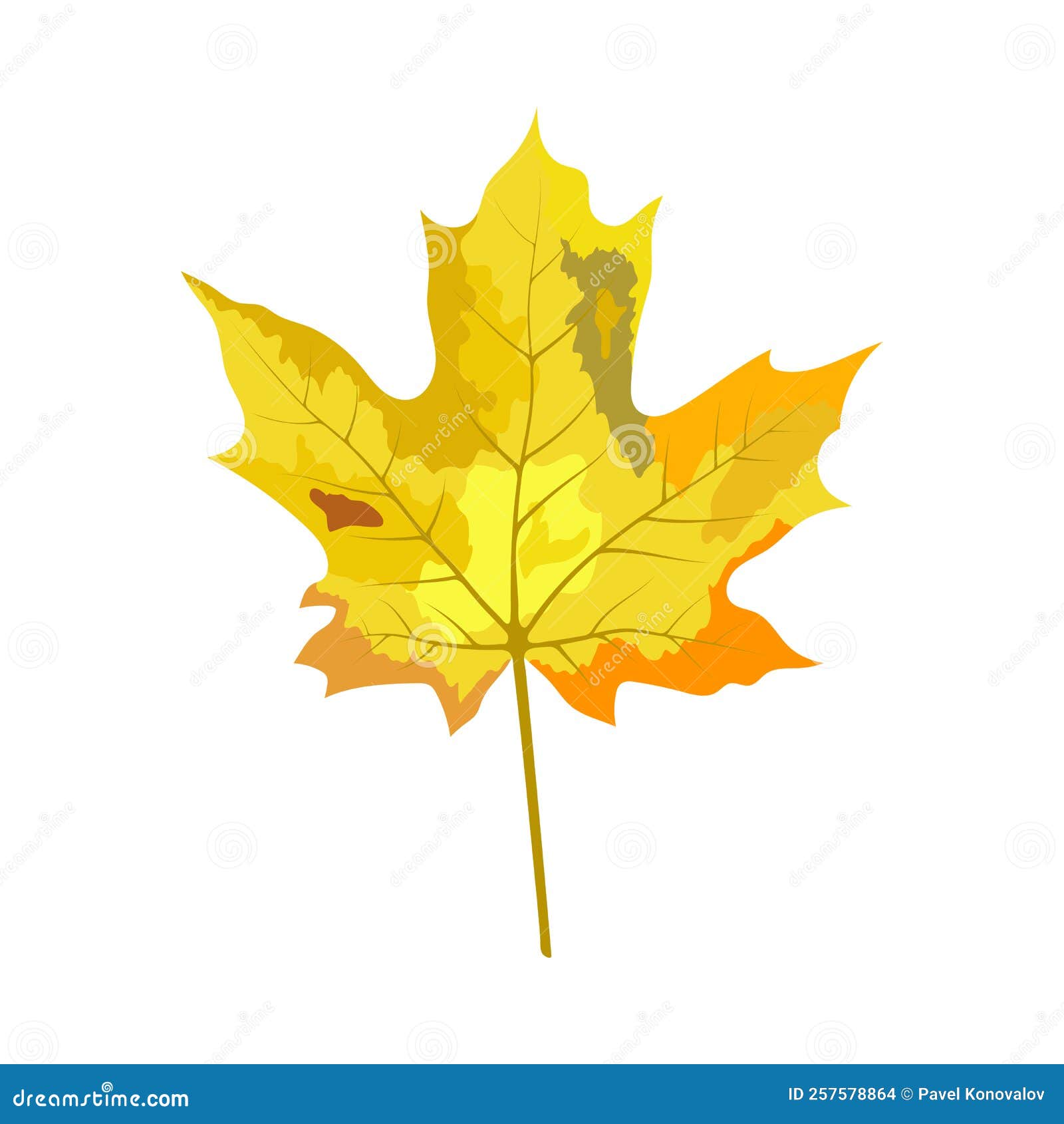 Autumn Maple Leaf stock vector. Illustration of color - 257578864