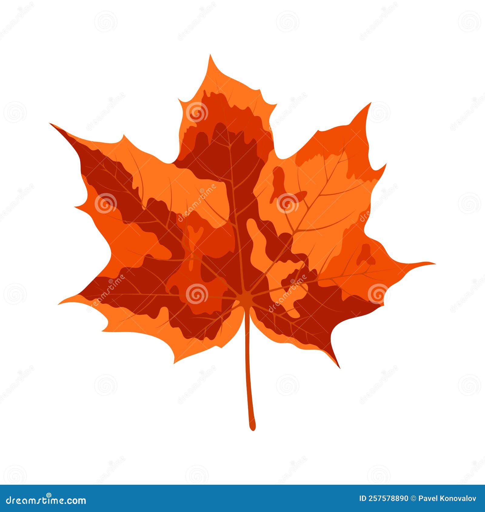Autumn Maple Leaf stock vector. Illustration of design - 257578890