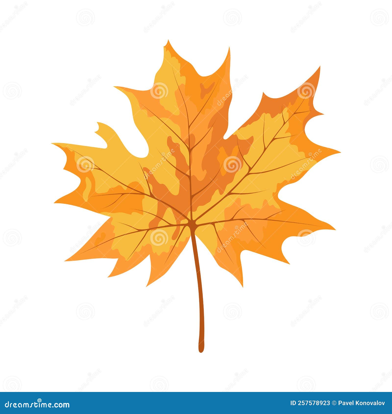 Autumn Maple Leaf stock vector. Illustration of decorative - 257578923