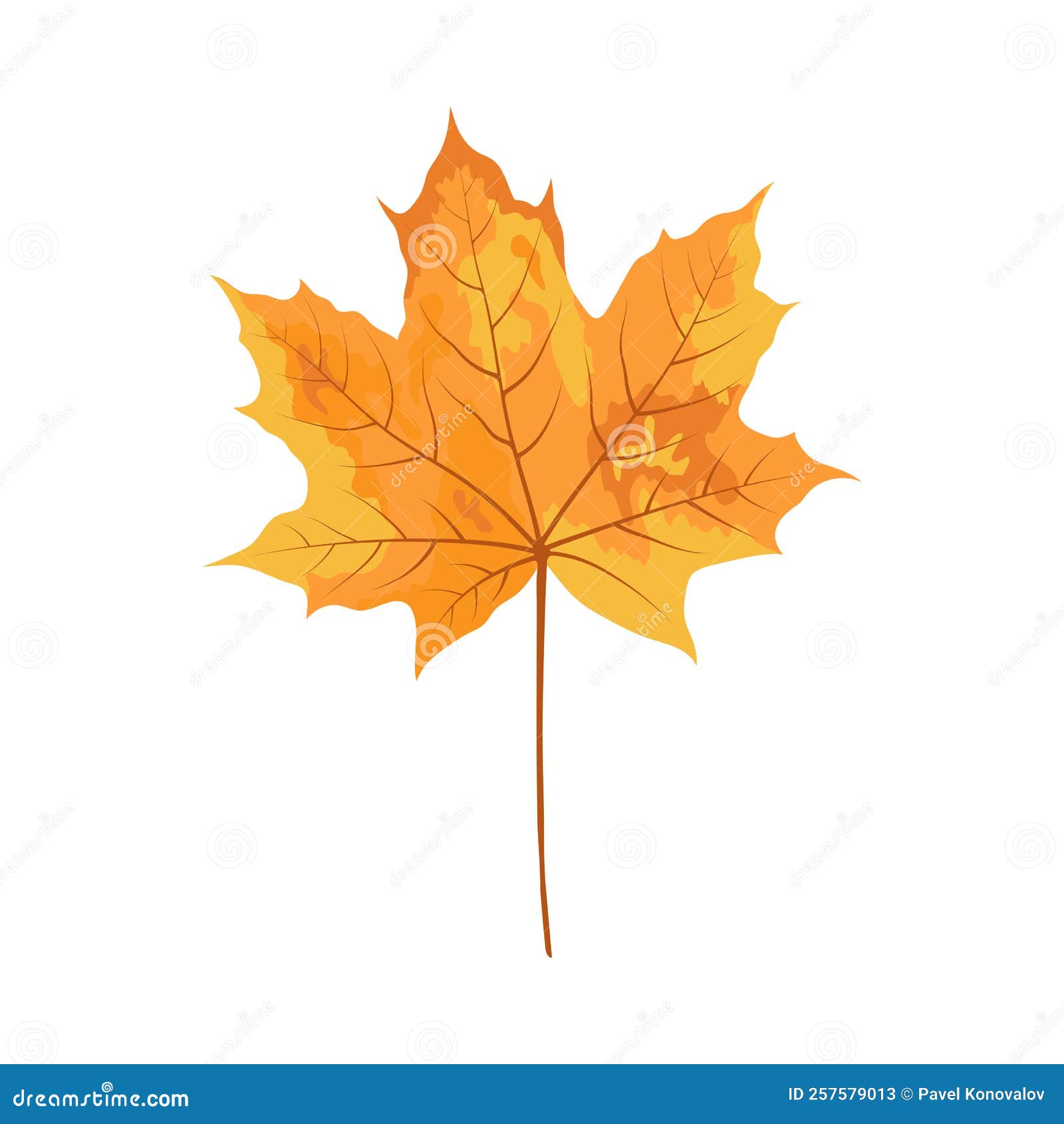 Autumn Maple Leaf stock vector. Illustration of maple - 257579013