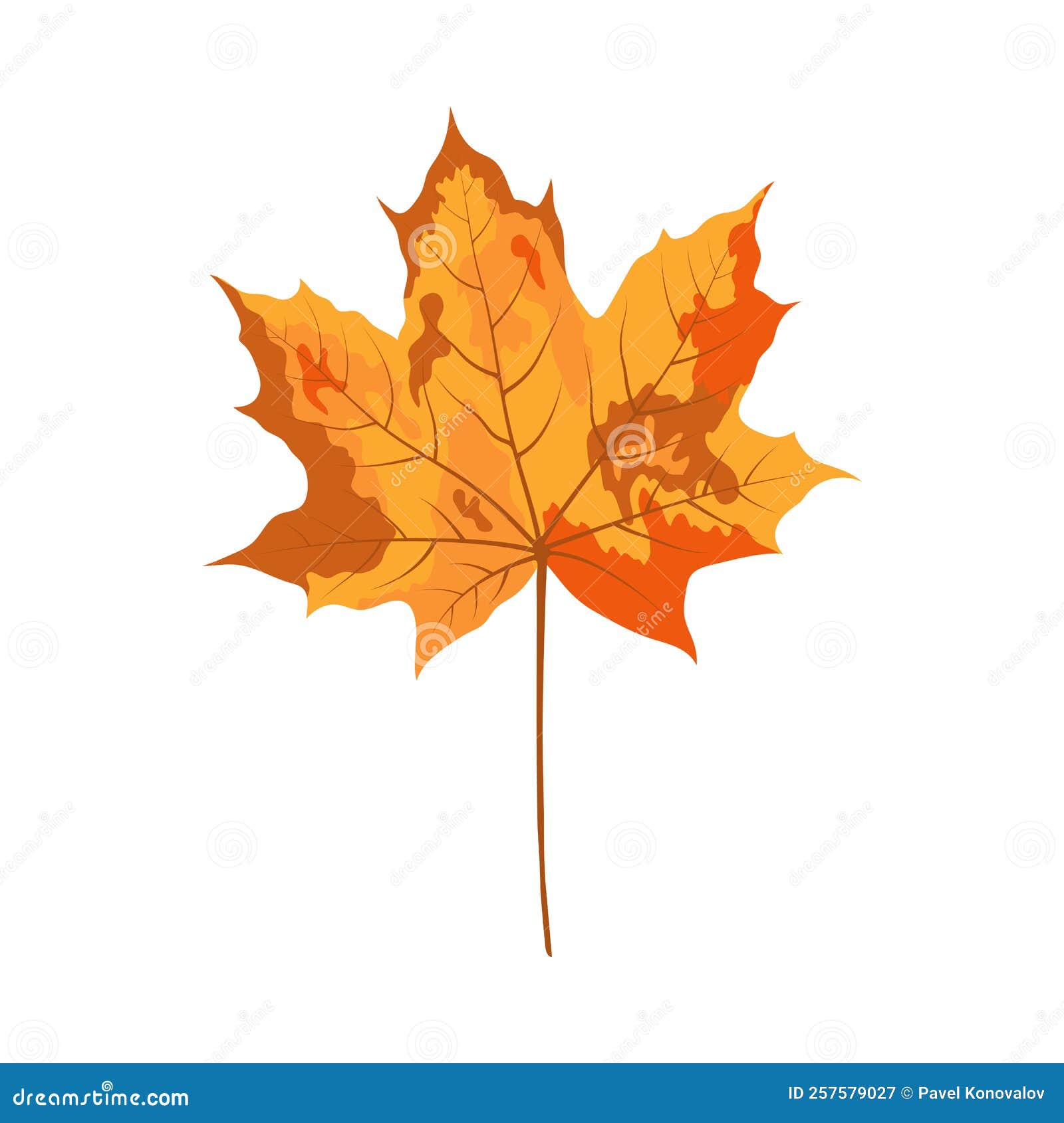 Autumn Maple Leaf stock vector. Illustration of element - 257579027