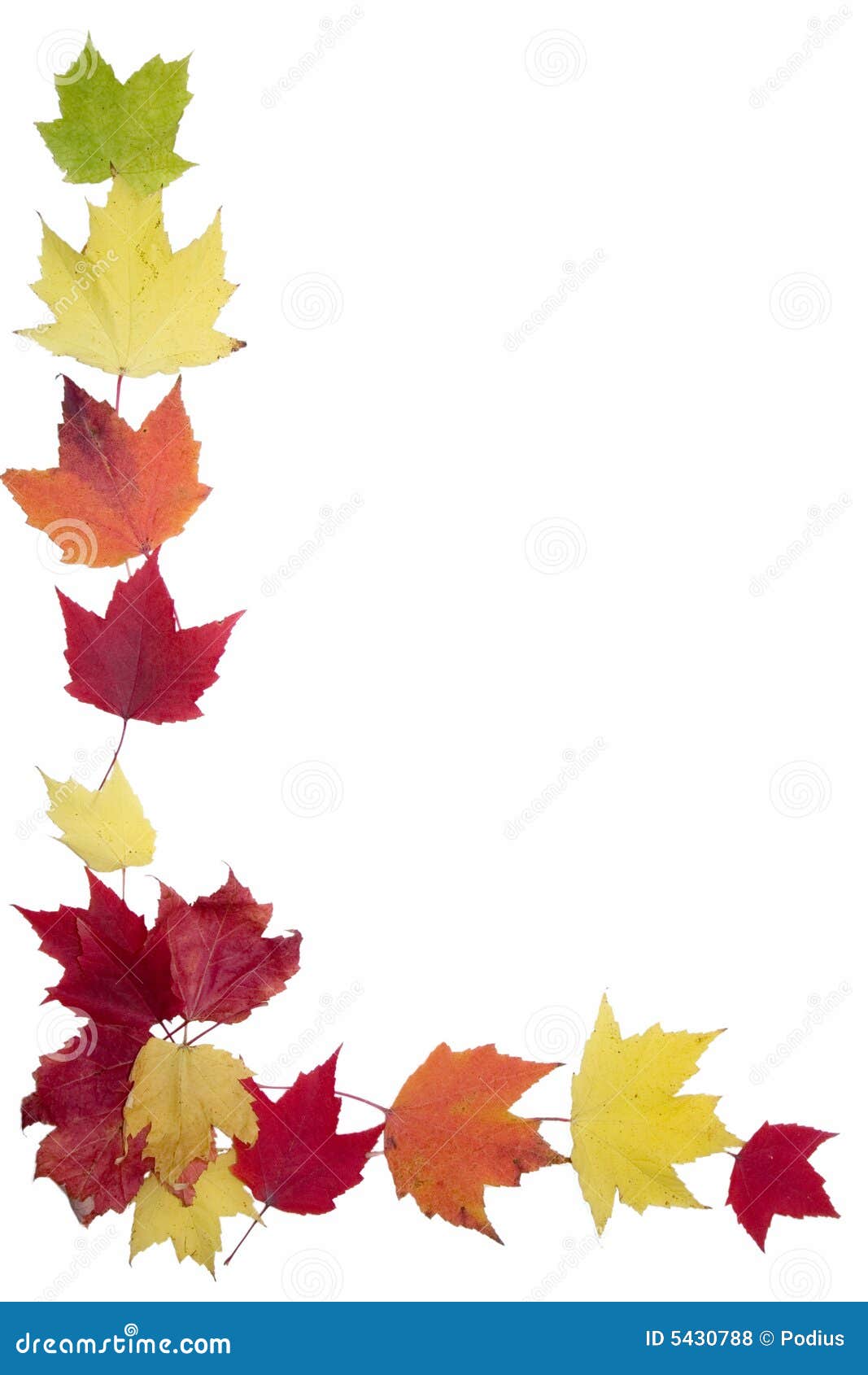 Autumn Maple Leaf Frame stock photo. Image of peaceful - 5430788