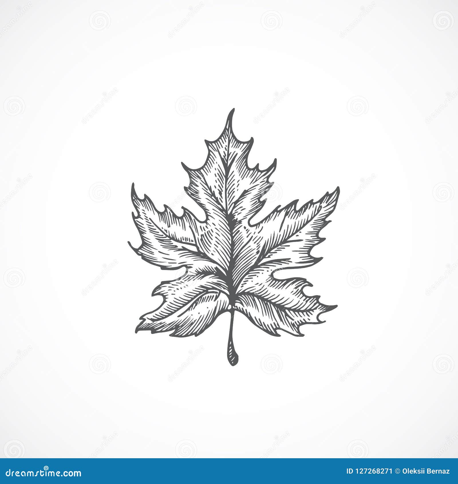 Autumn Maple Leaf Hand Drawn Vector Illustration Abstract Botanical Sketch Stock Vector
