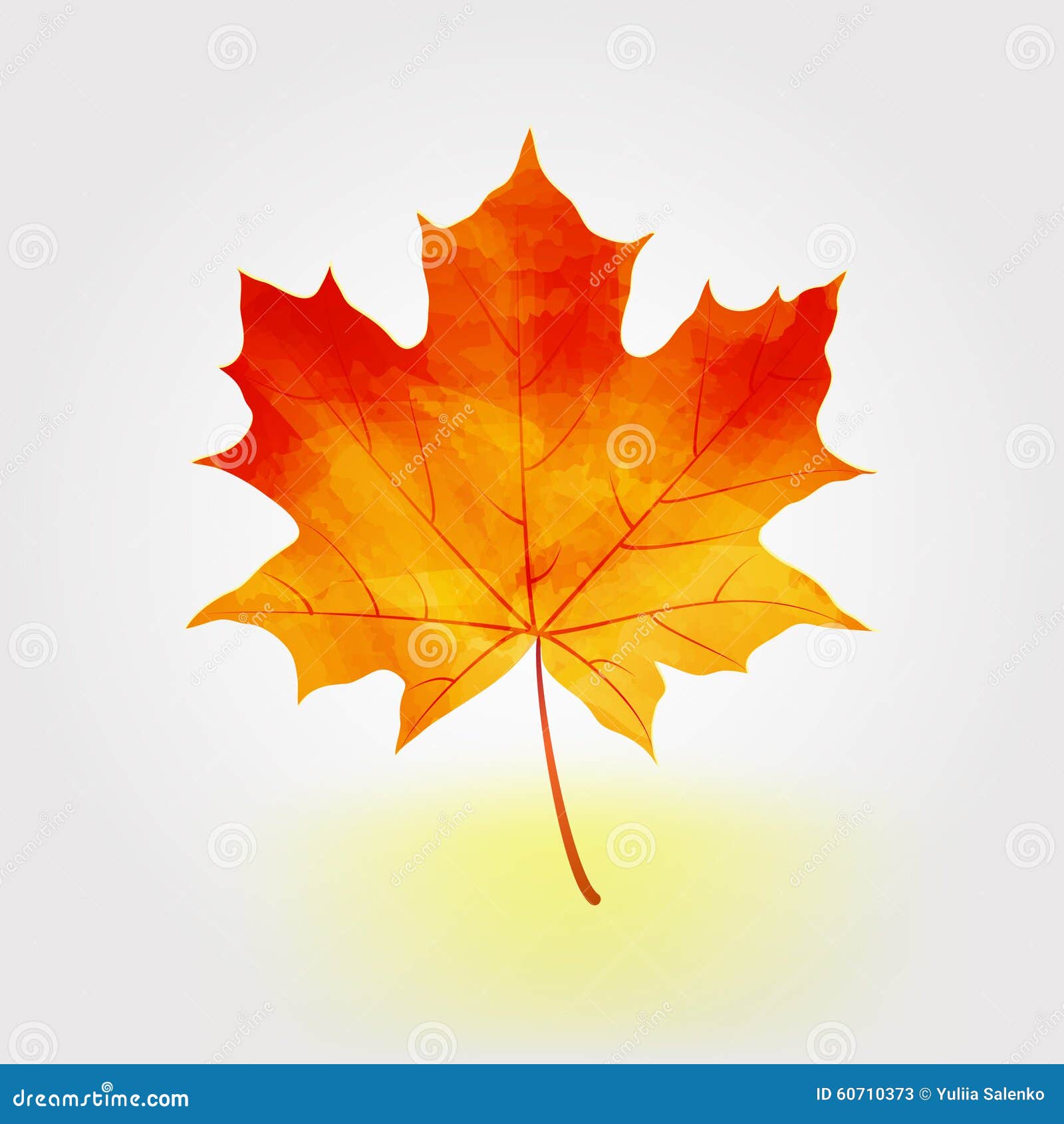 Autumn Maple Leaf Illustration Stock Illustration - Illustration of ...