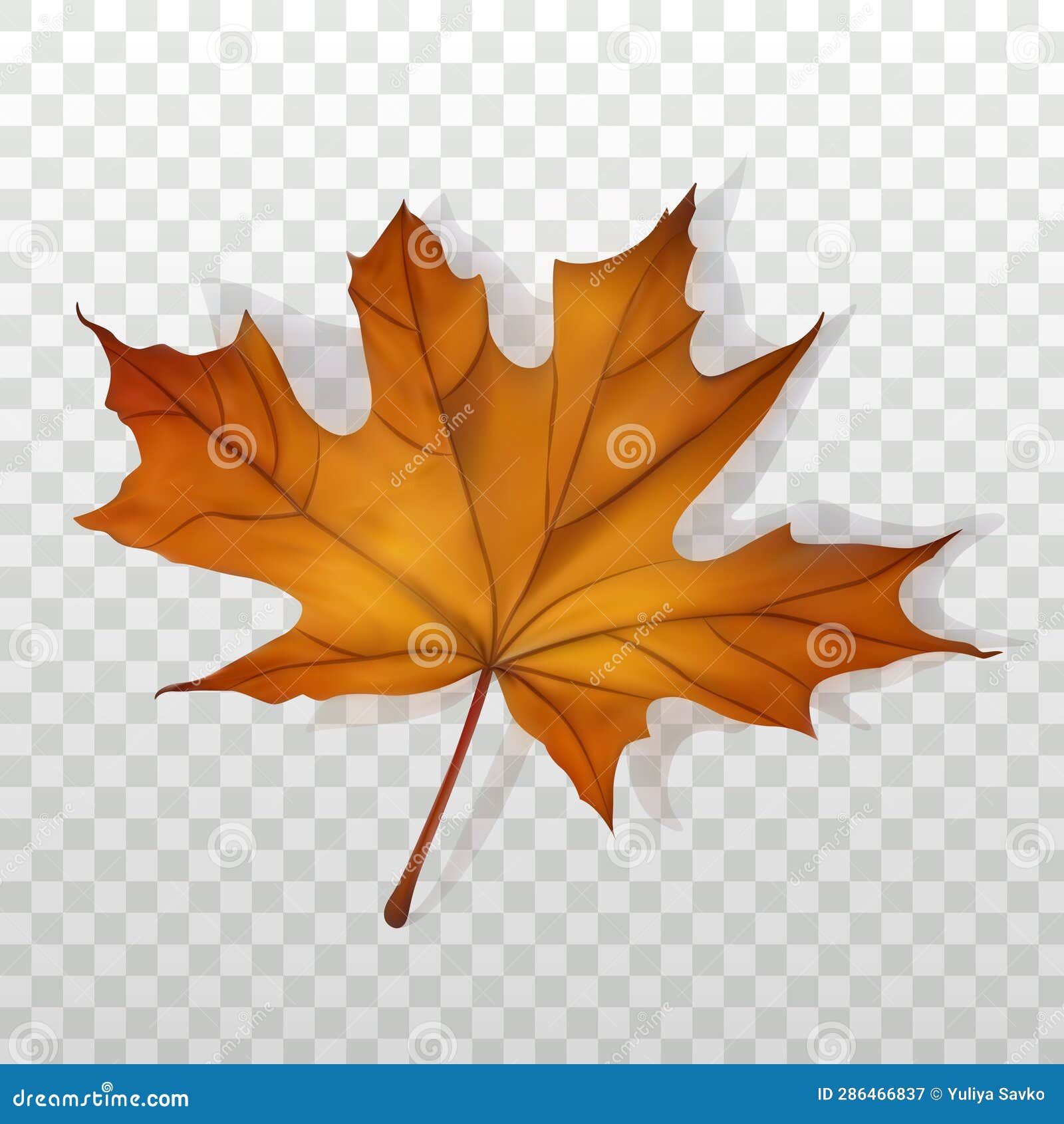 Autumn Maple Leaf. Isolated Realistic Vector Leaf Stock Illustration ...