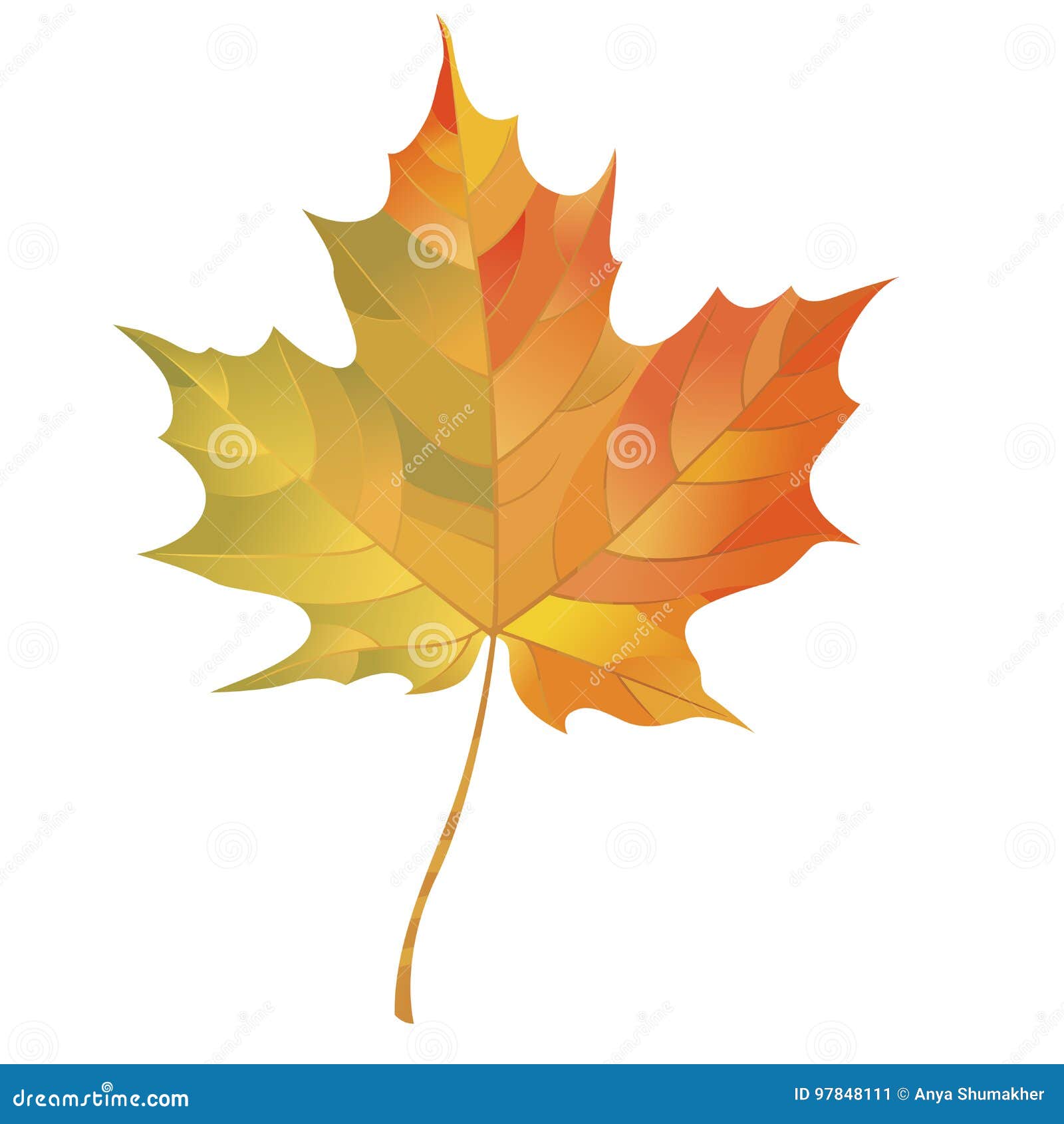 Autumn Maple Leaf Isolated on White Background. Vector Illustration ...