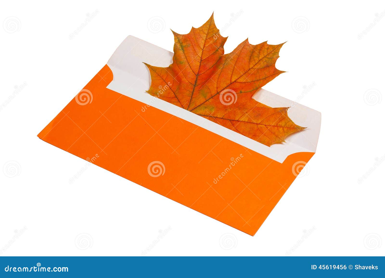 Autumn Maple Leaf in Orange Envelope Stock Photo - Image of yellow ...