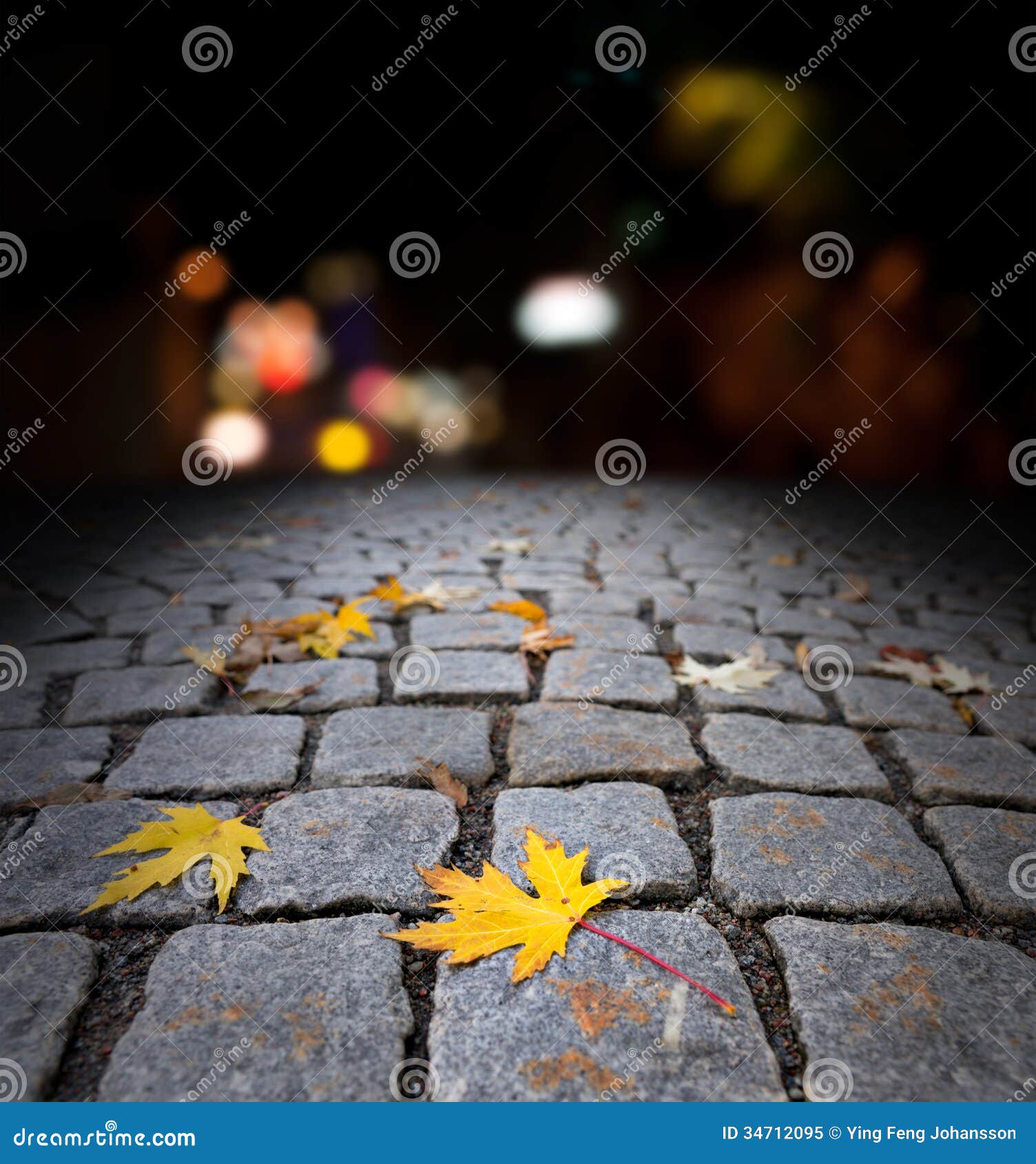 Autumn Maple Leaf on Street at Night Stock Image - Image of yellow ...