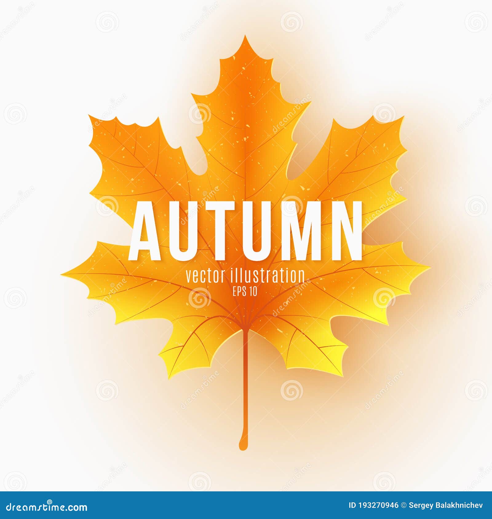 Autumn Maple Leaf with Text on a White Background. Festive Template for ...