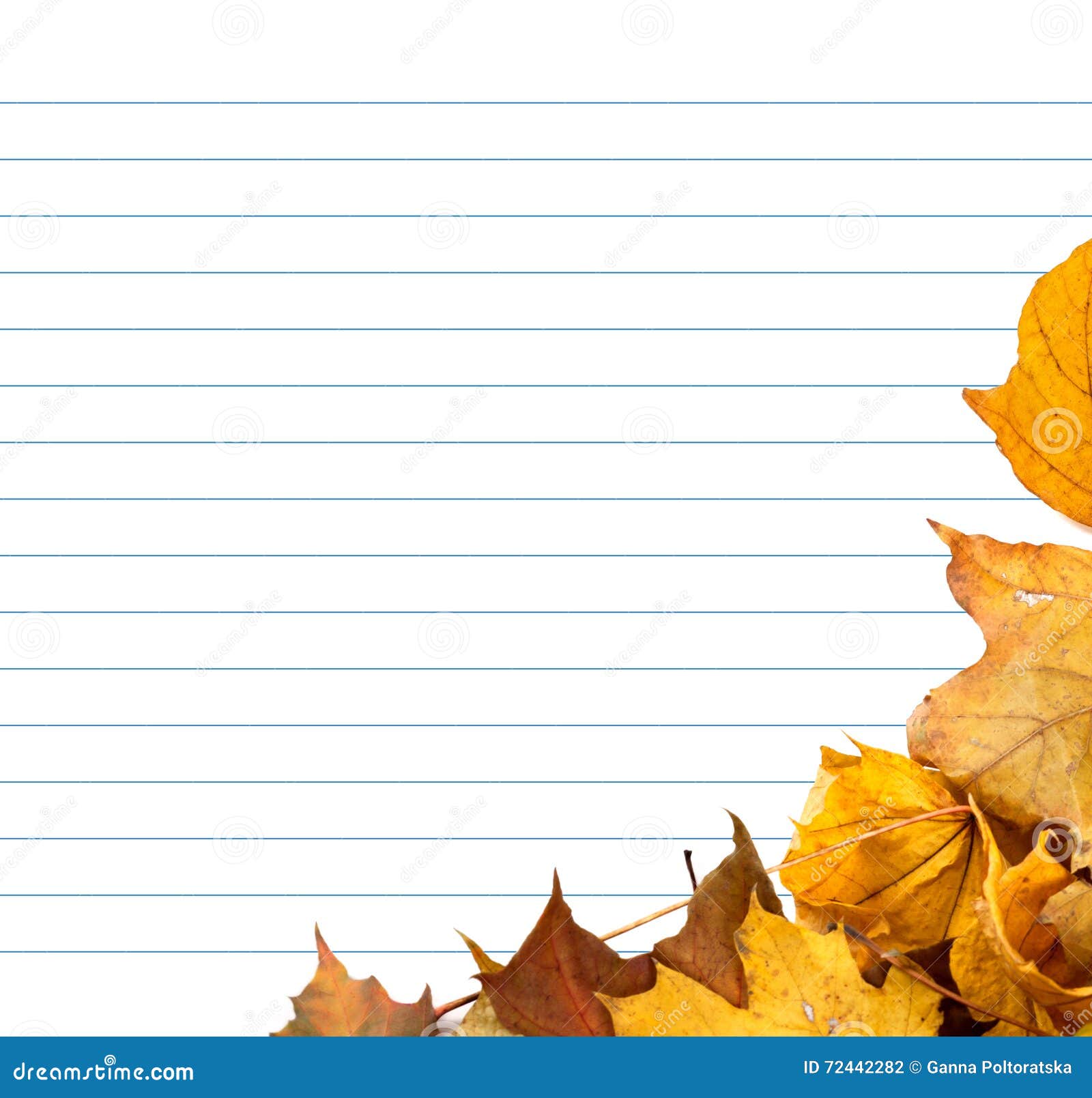 Autumn Maple-leafs and Notebook Paper Stock Photo - Image of flora ...