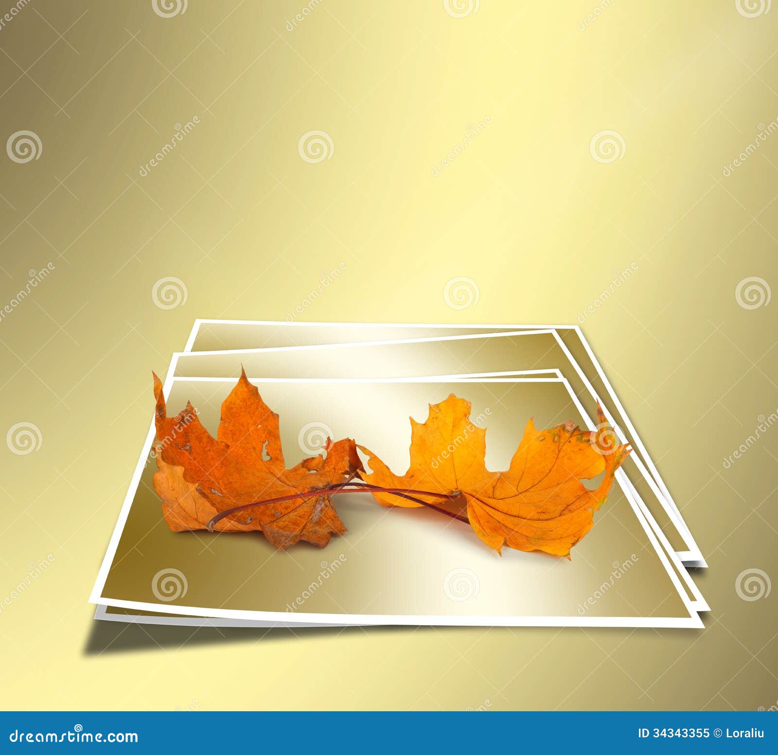 Autumn maple leaves stock image. Image of mystical, botany - 34343355