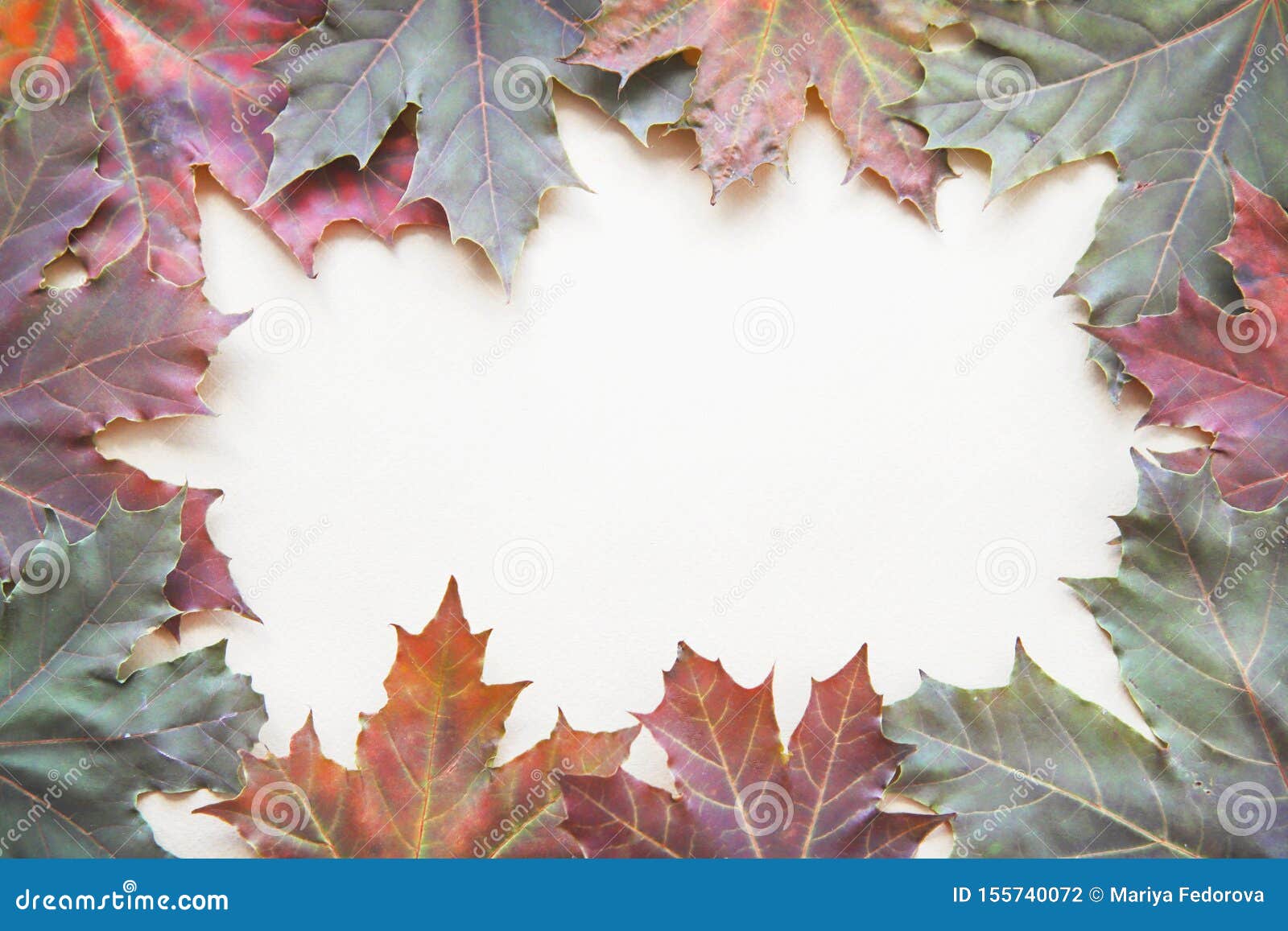 Autumn Maple Leaves Frame. Fall Concept Stock Photo - Image of flat ...