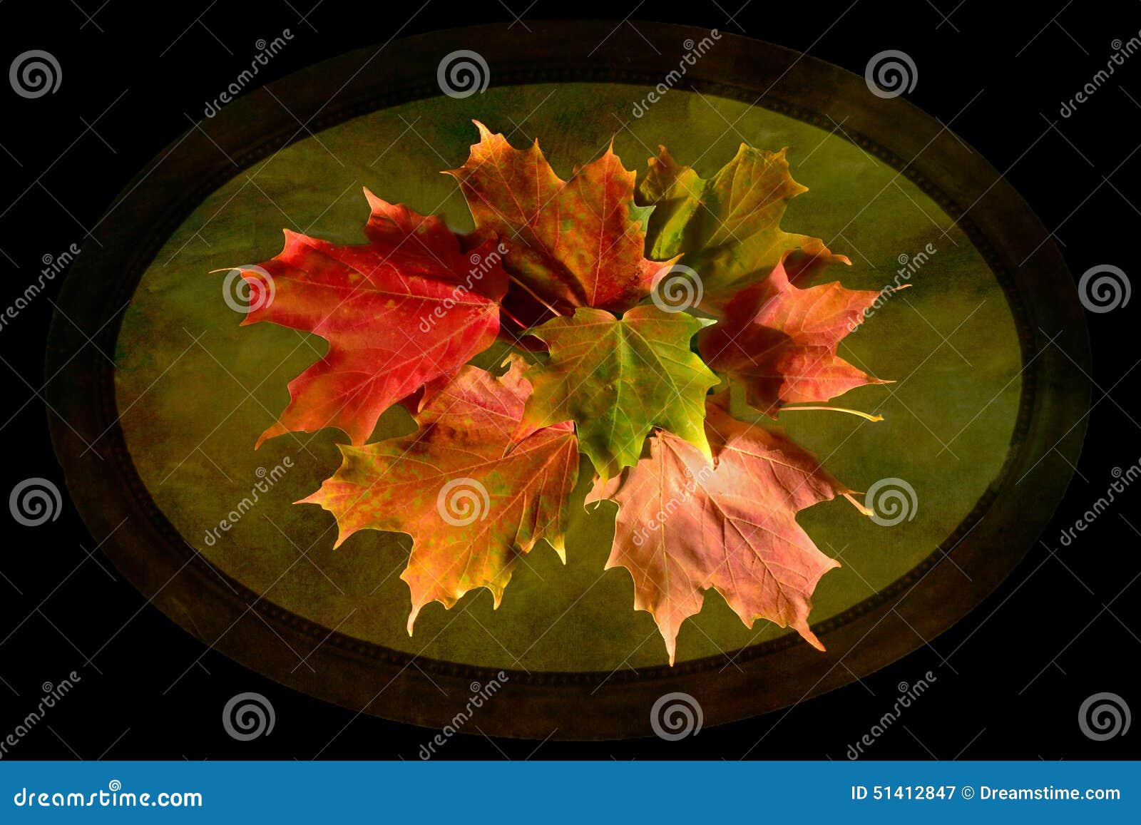 Autumn maple leaves stock image. Image of frame, oval - 51412847